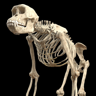 Pete Flint - 3D Artist - Chimp Creature Model (WIP)