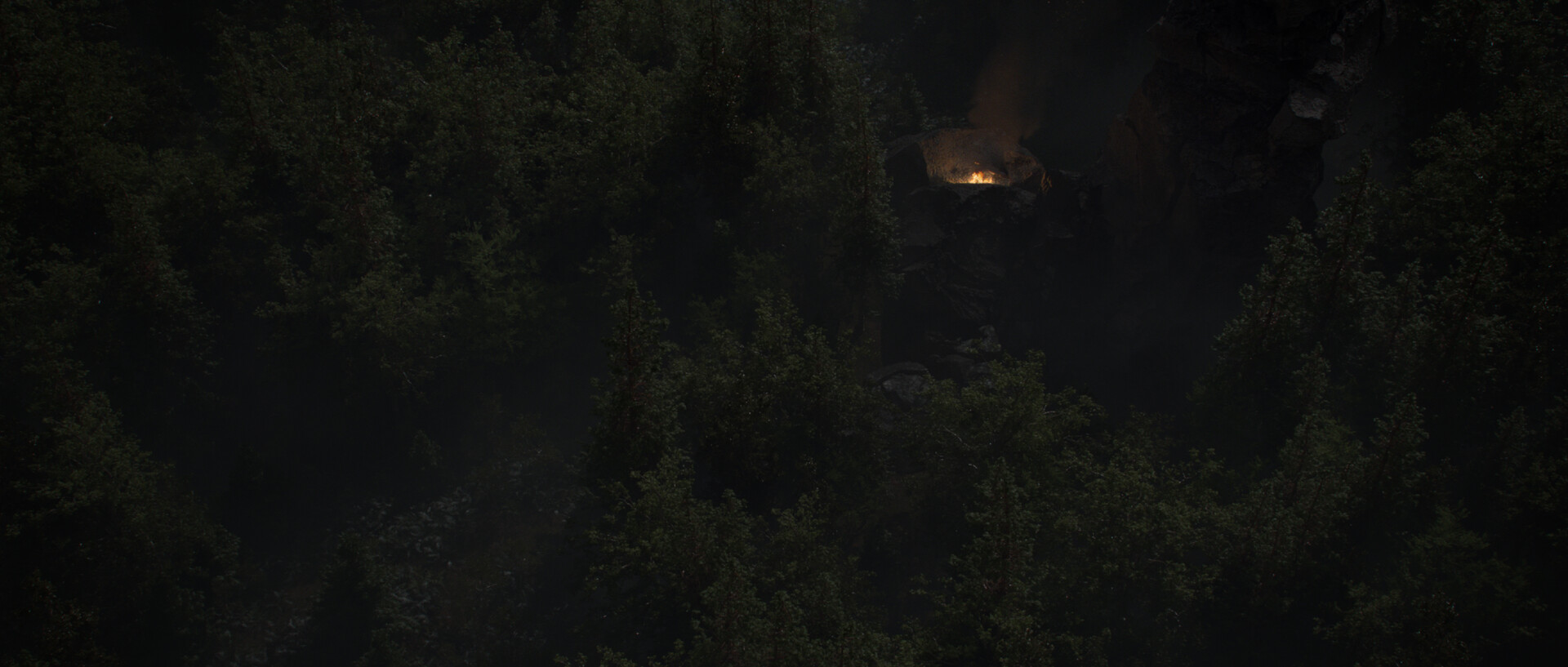 ArtStation - Night Forest