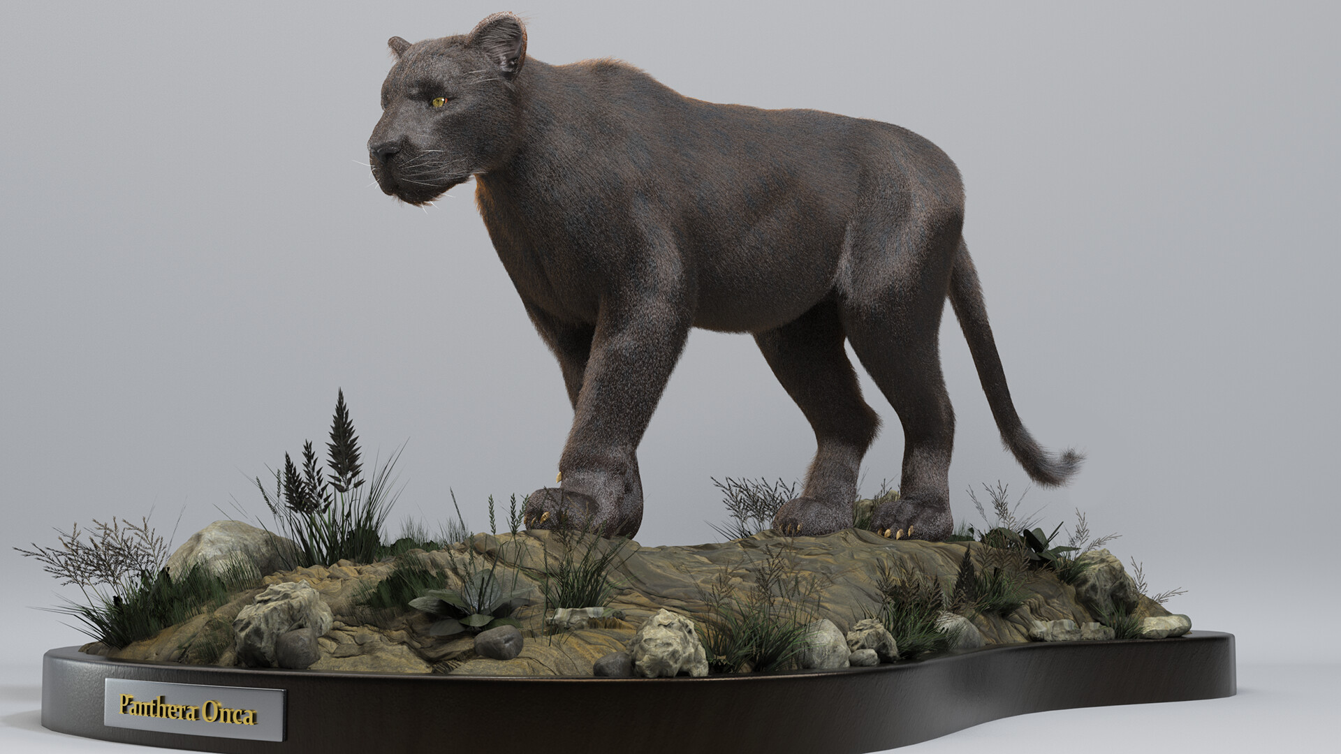 Lara Llorca - Panther Anatomy Study