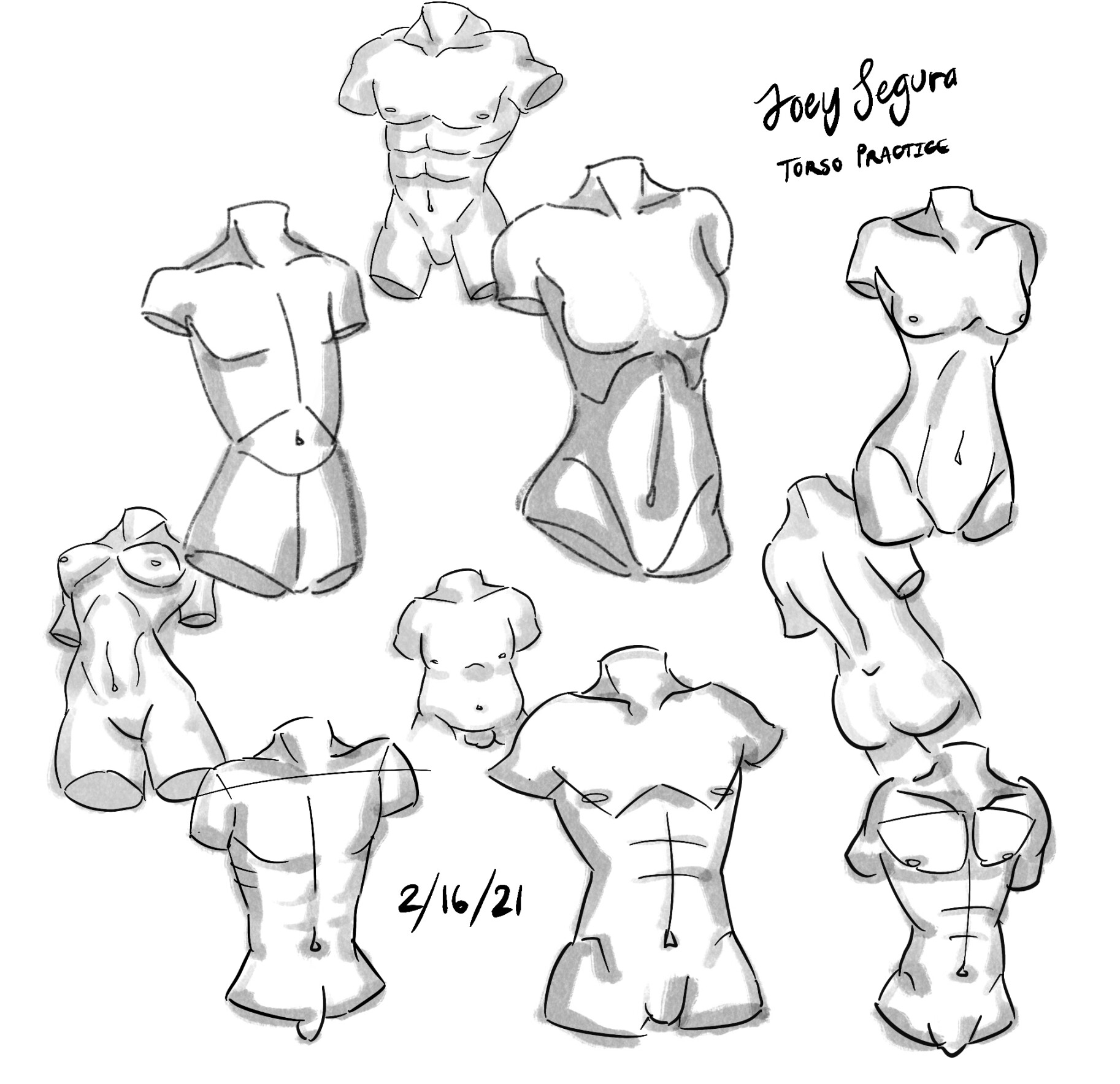 ArtStation - Week 6 - Torso