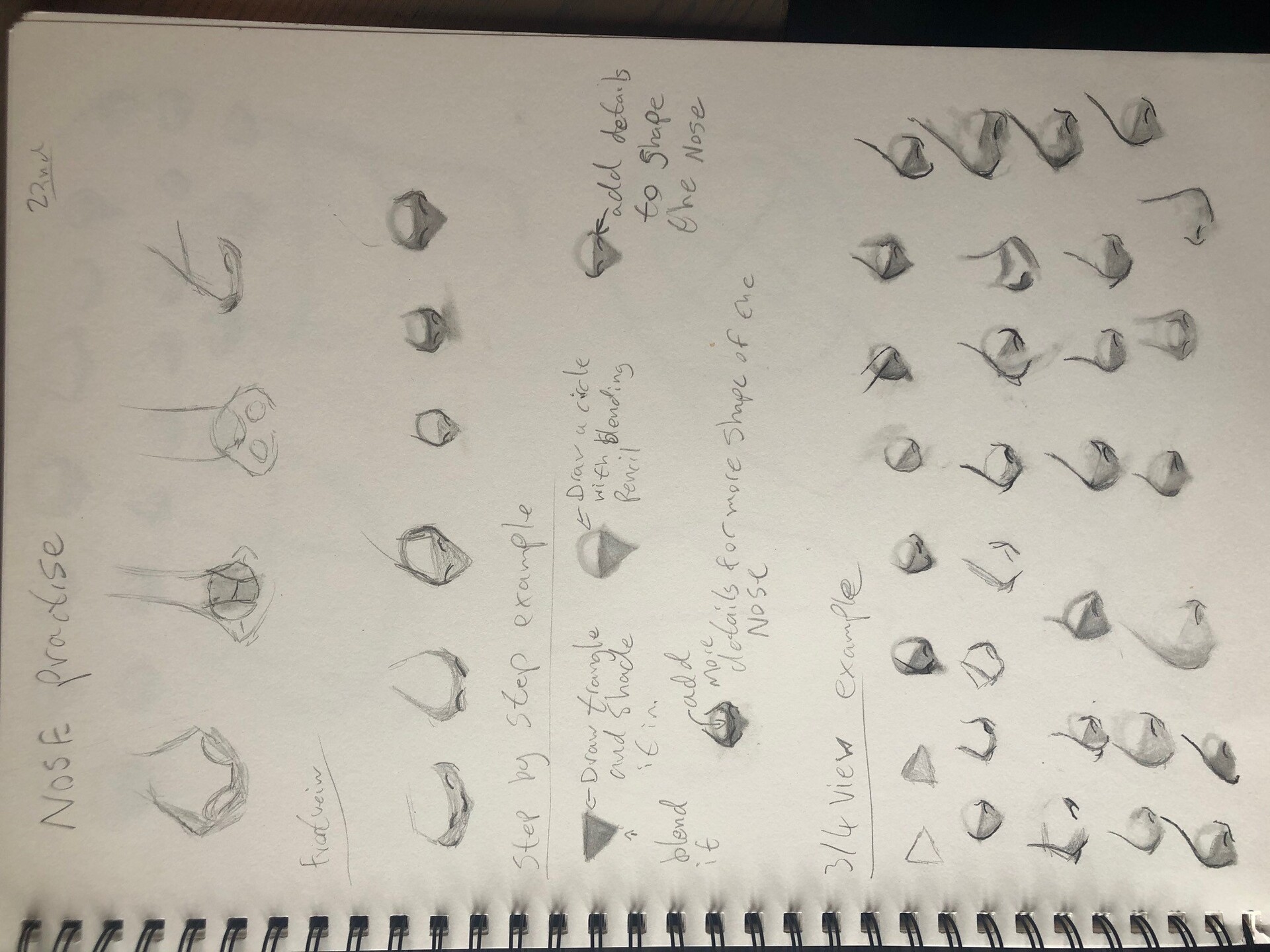 ArtStation - Nose Practise
