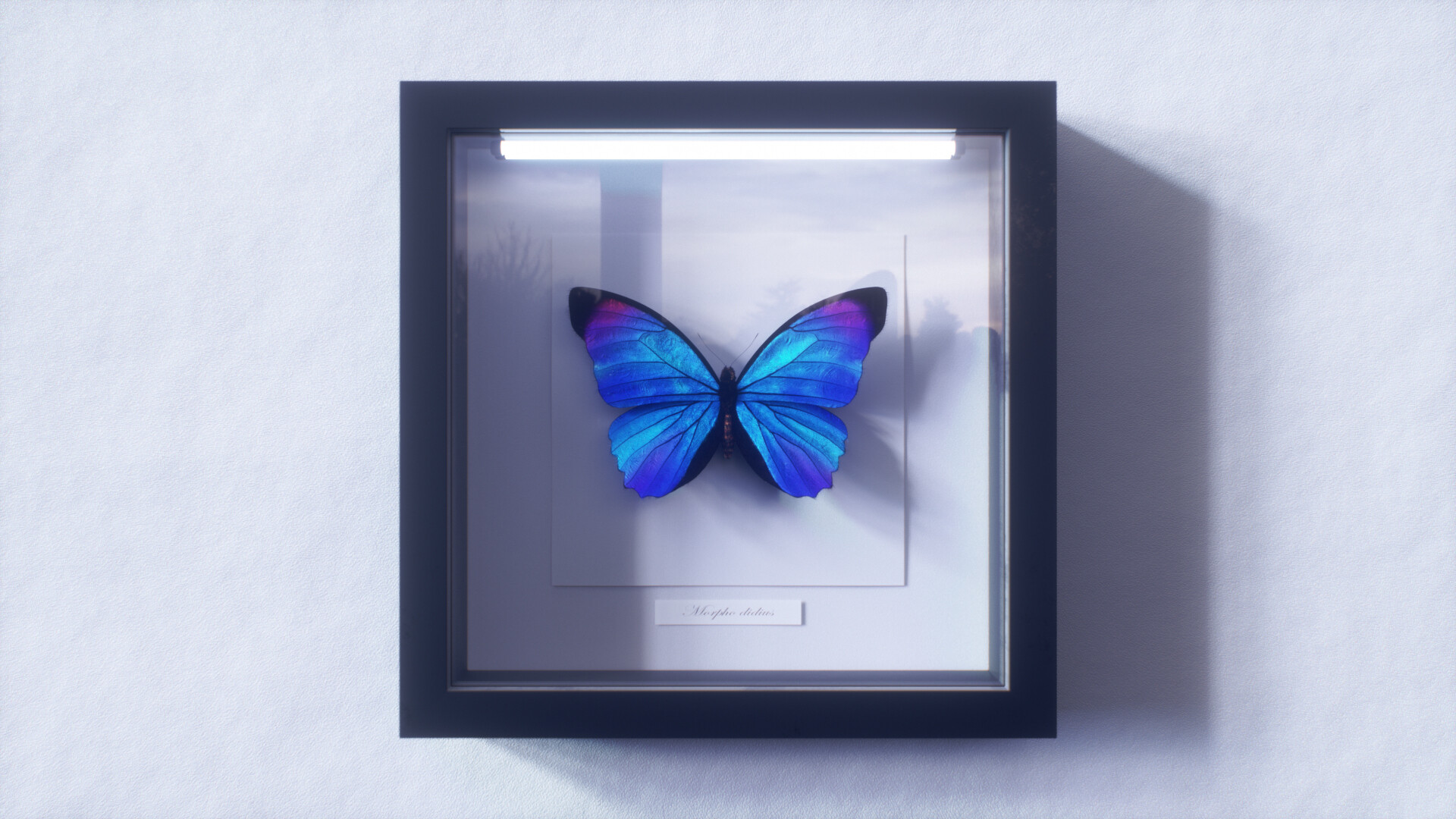 ArtStation - Blue Morpho Butterfly 3D Renders
