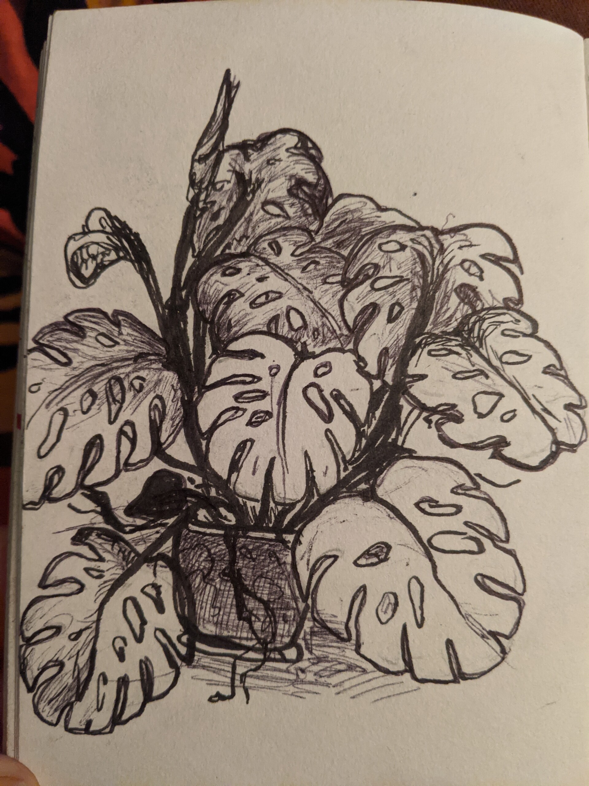 ArtStation - More plant studies