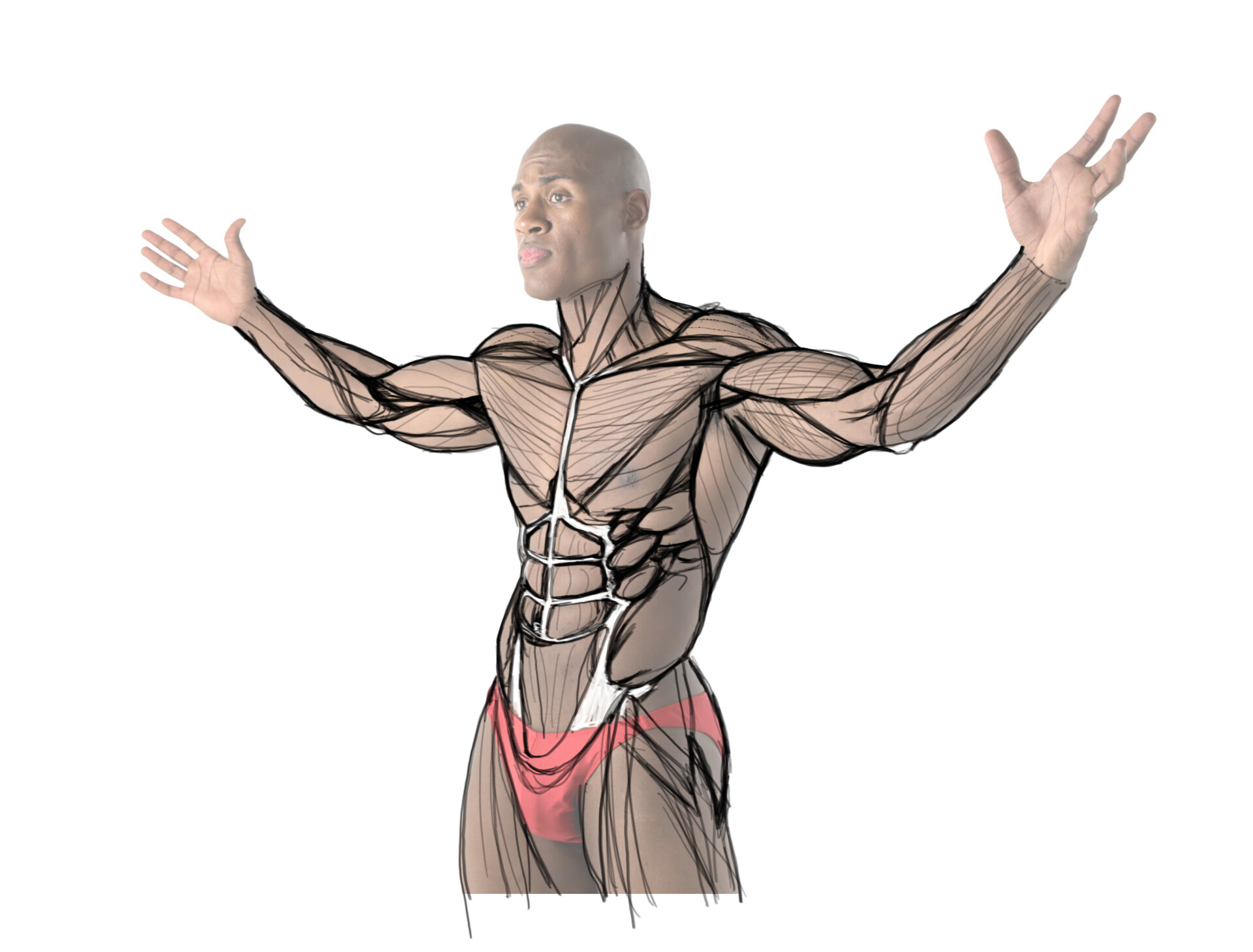 A Samo - Proko Anatomy Traces