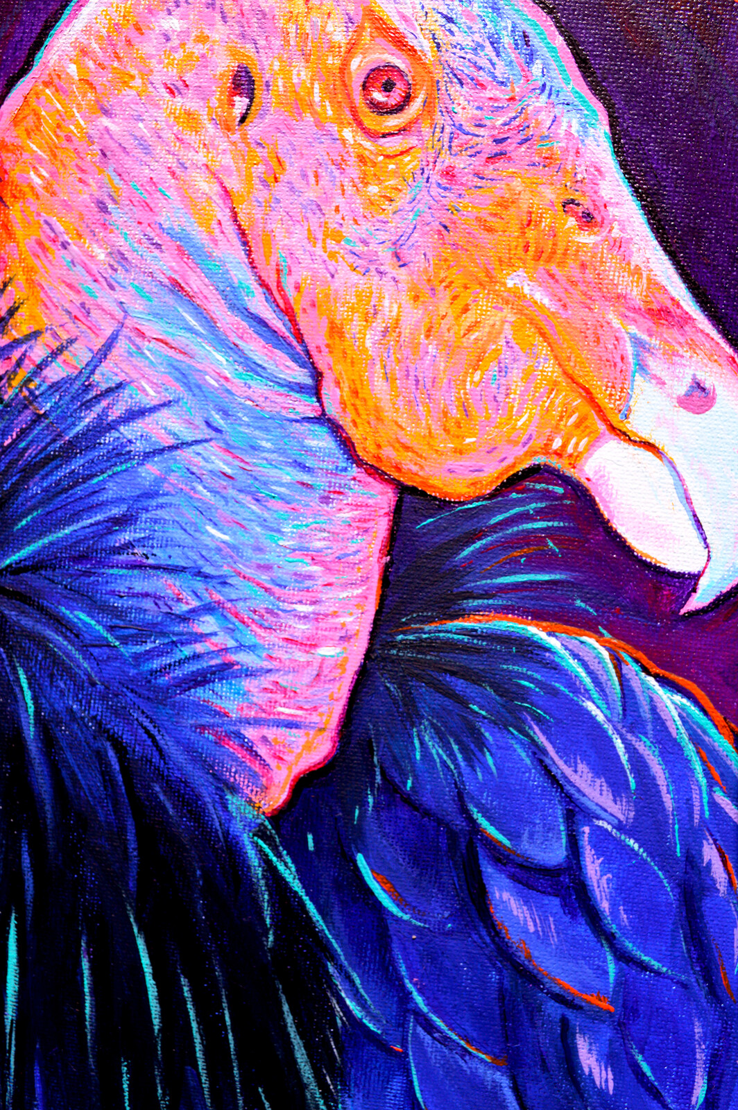 Jacqueline Powers - California Condor