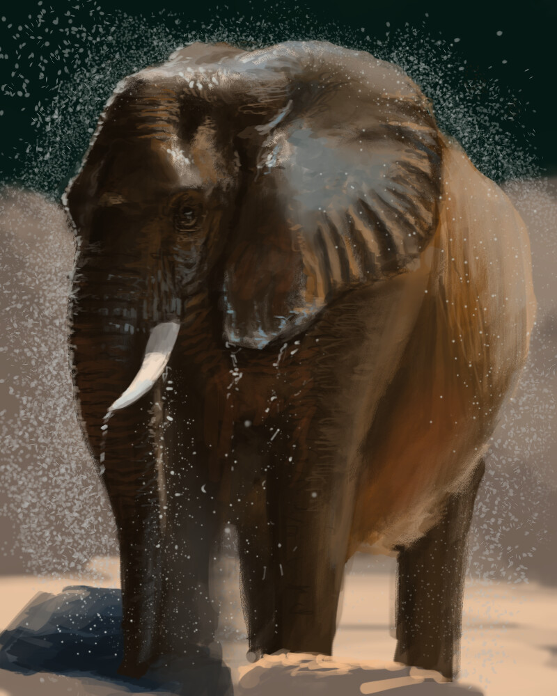 chiwon choi - [study] speed painting