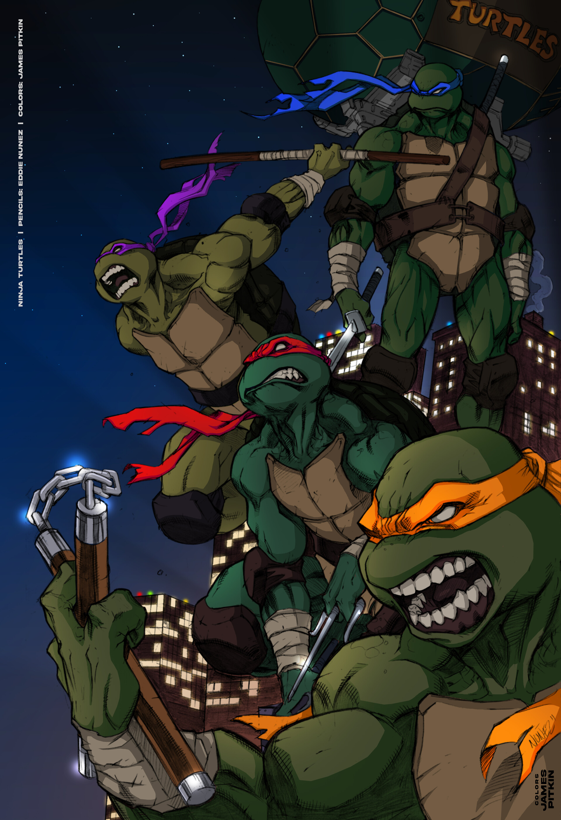 ninja turtles colours
