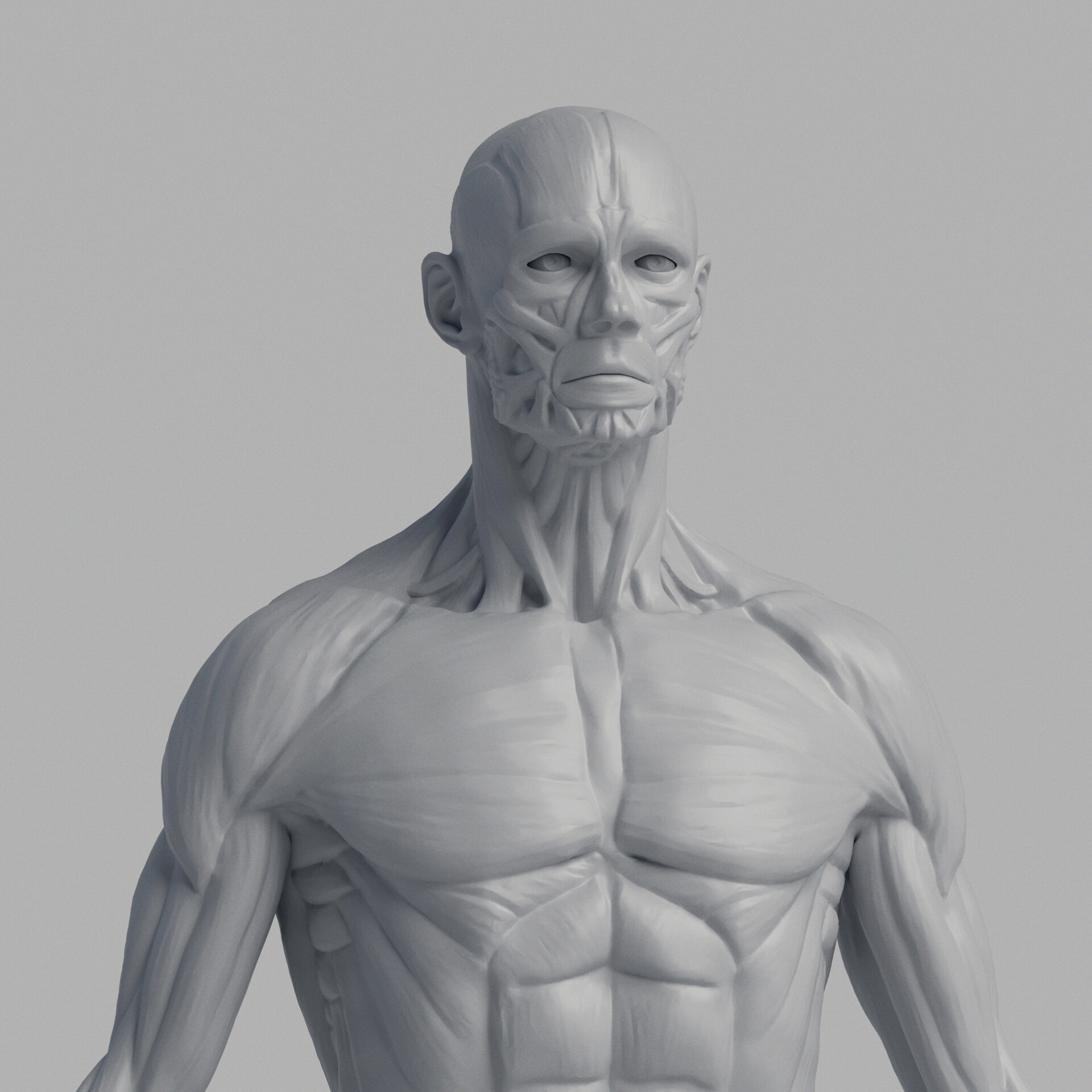 ArtStation - Écorché Study