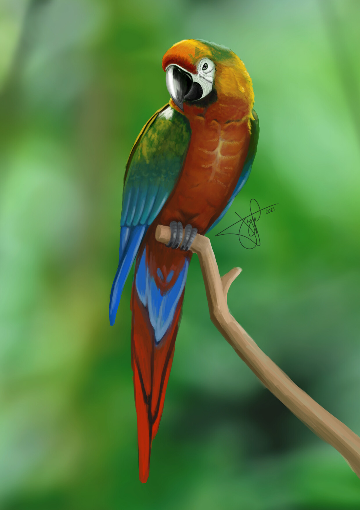 ArtStation - Macaw Painting