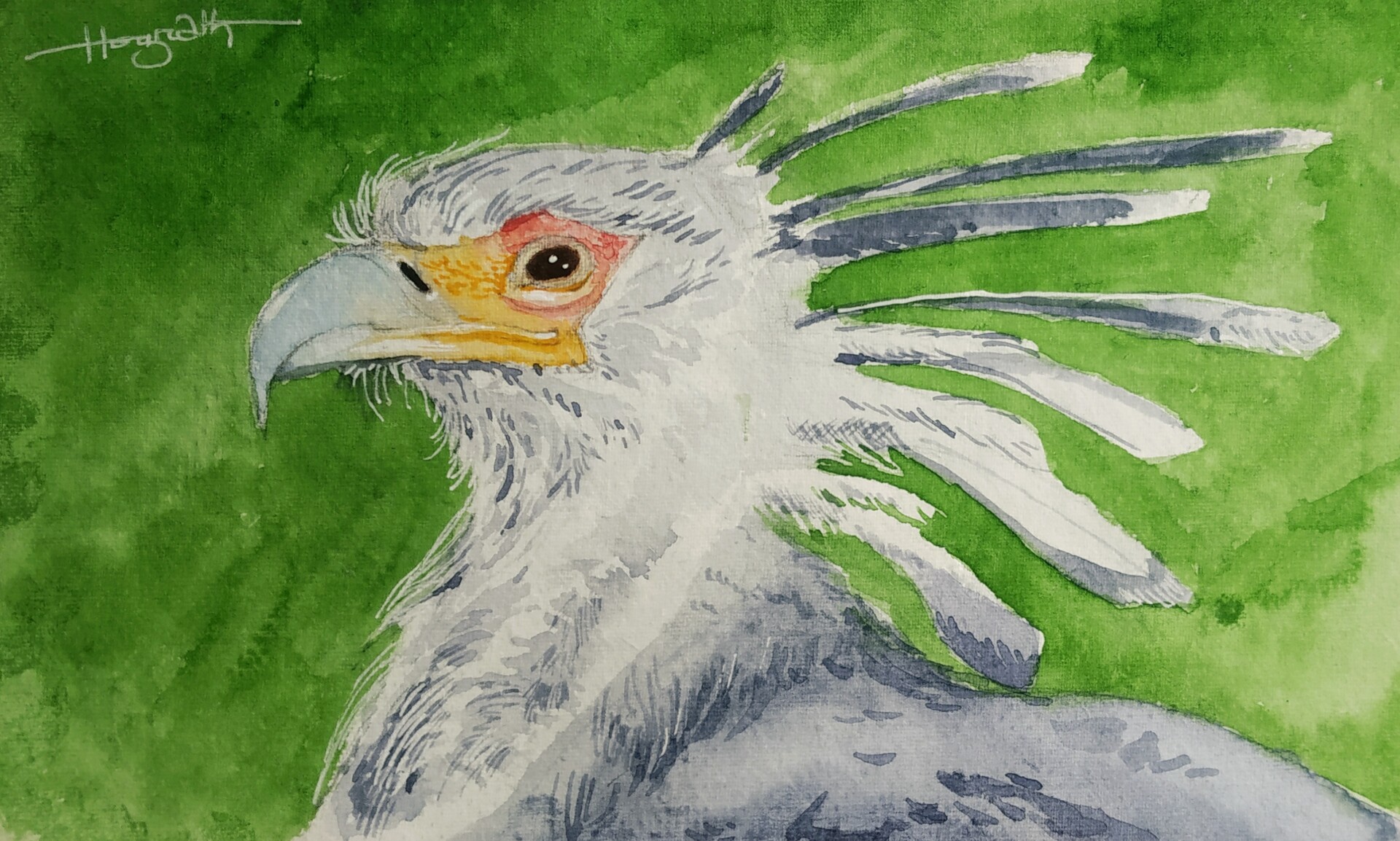 ArtStation - Secretary Bird