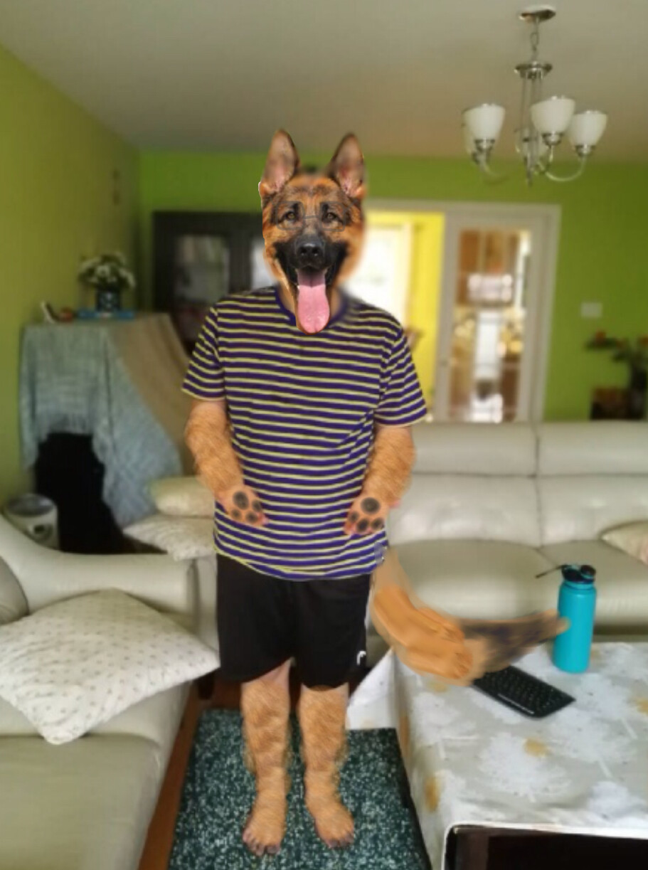 ArtStation - Anthro dog transformation (German Shepherd)