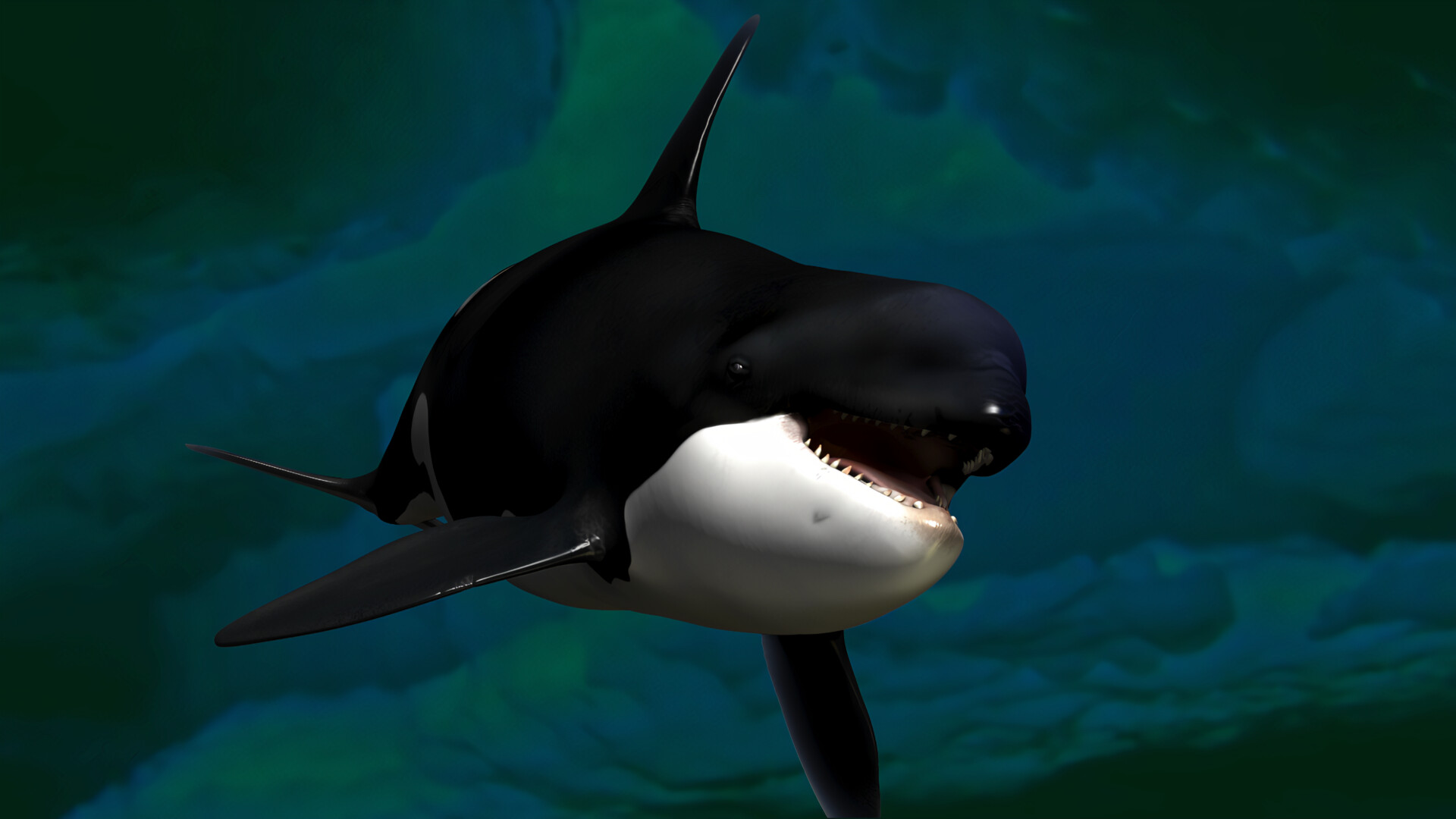 ArtStation - Orca Study