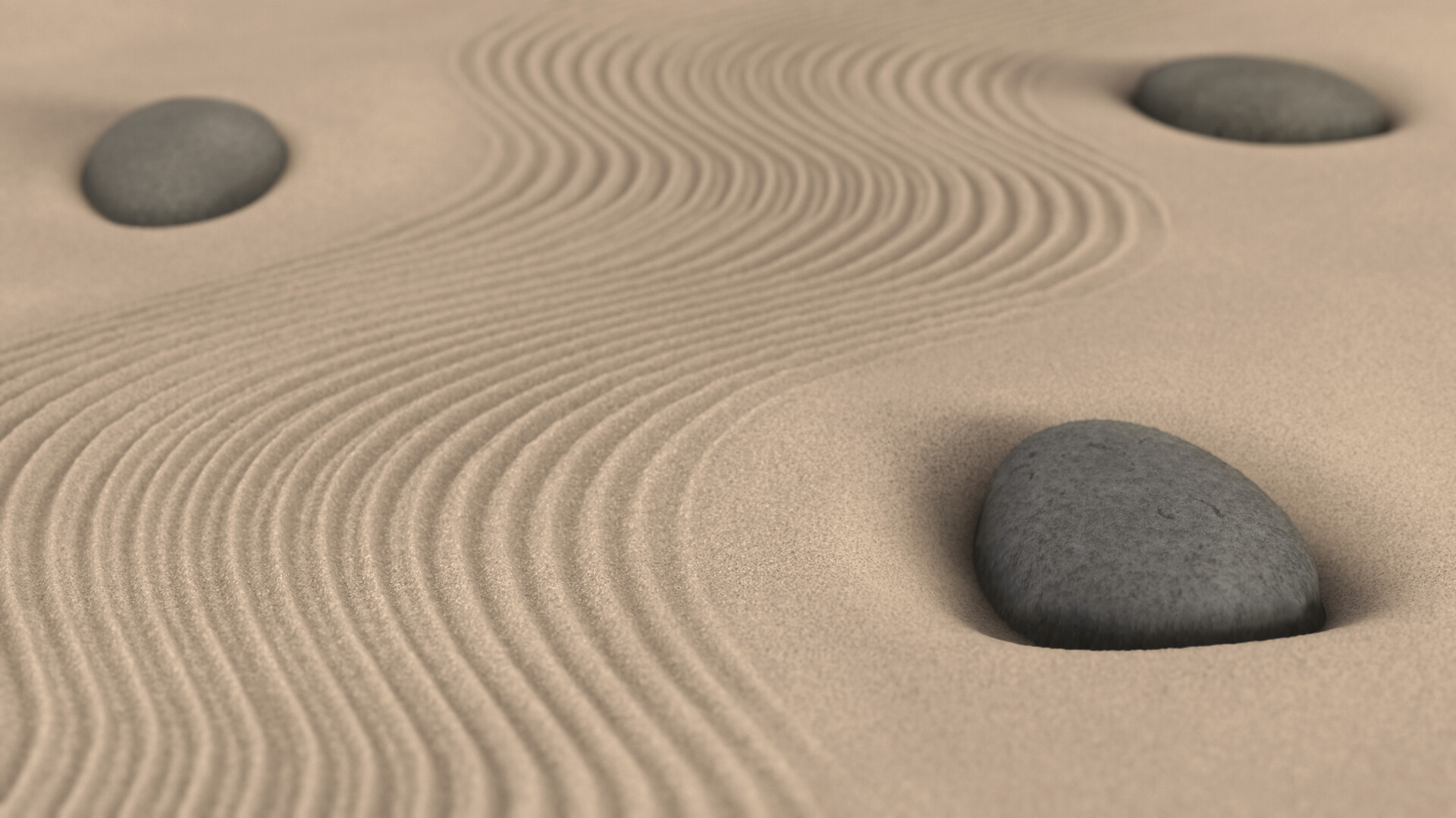 Zen Garden Sand Texture