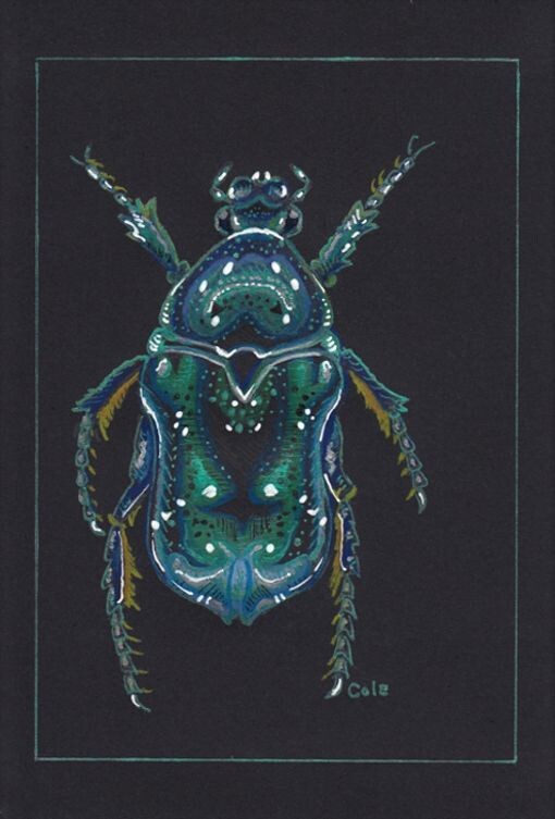 ArtStation - Inktober, insect