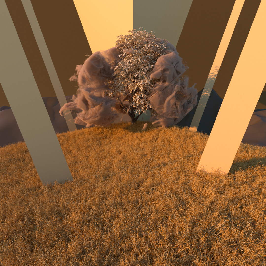 Philipp Taplan - untitled