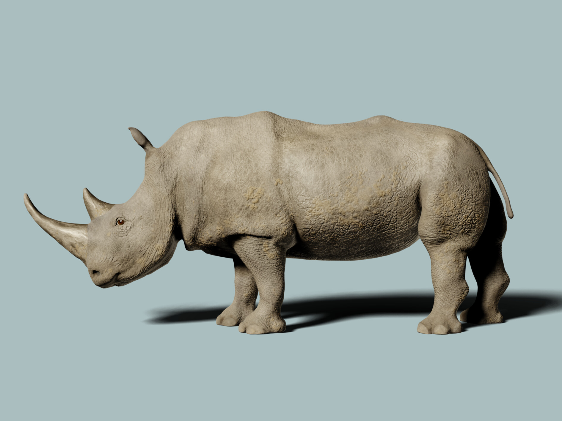 ArtStation - White Rhinoceros