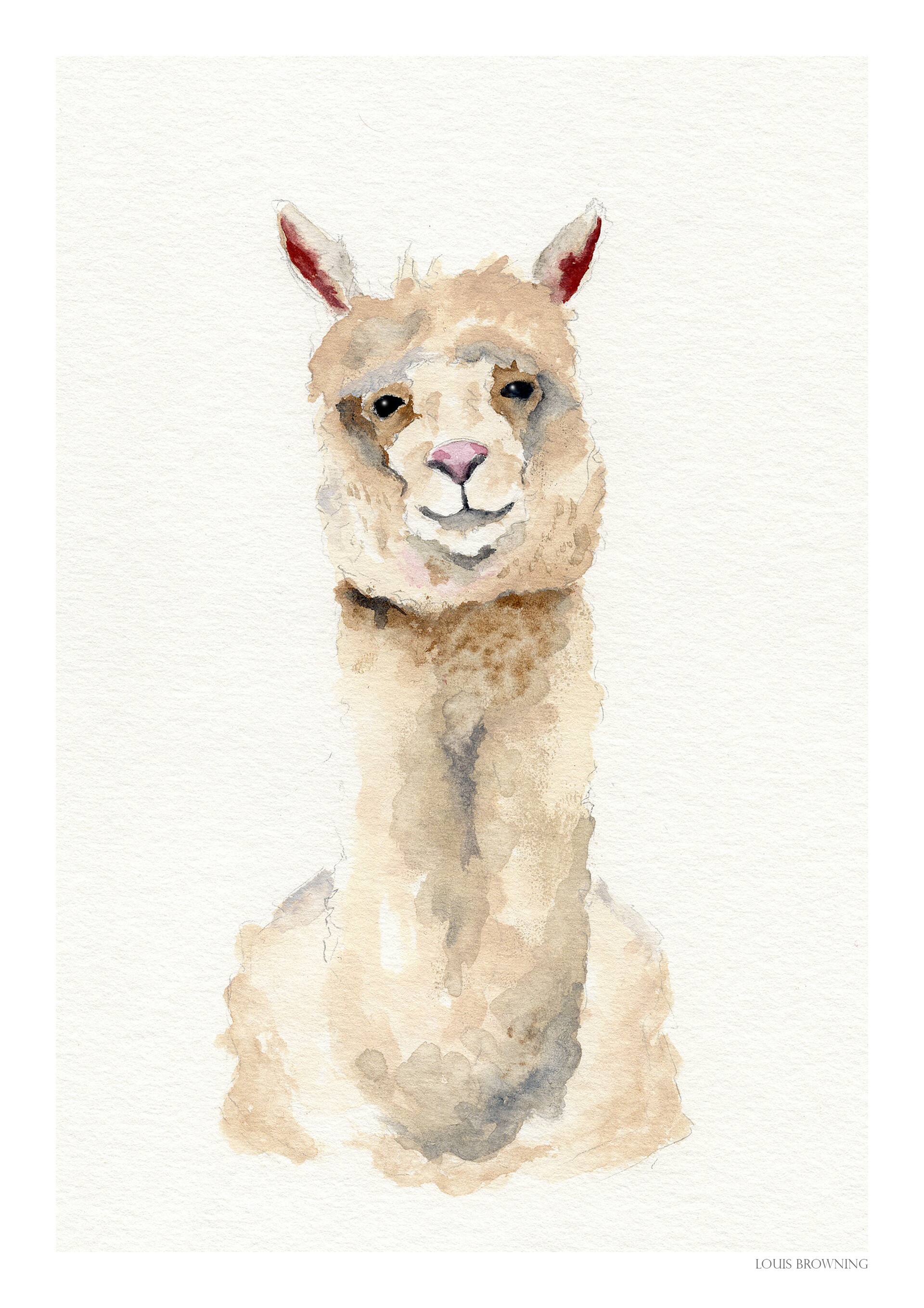 ArtStation - Alpaca Watercolour