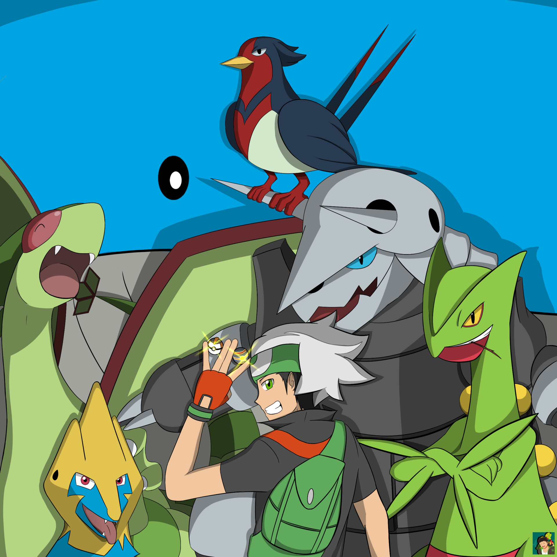 Pokemon Emerald Brendan Team