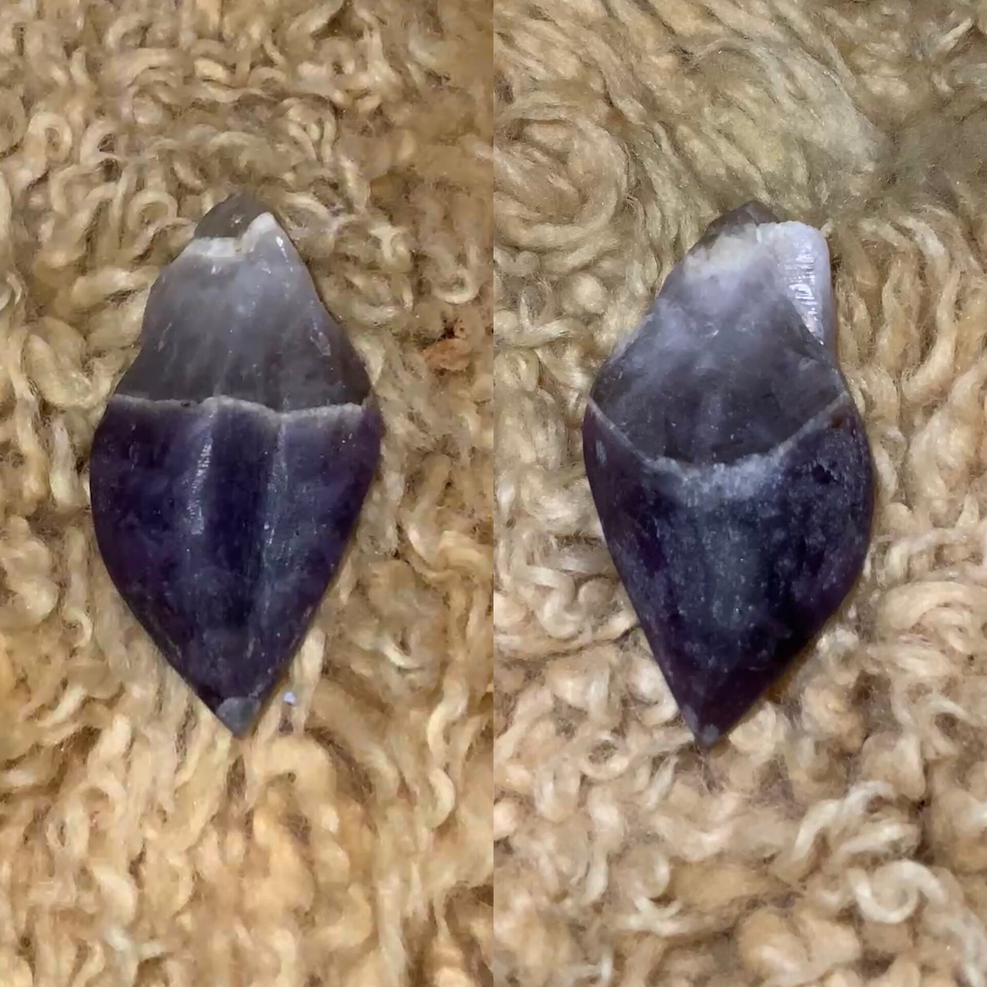 ArtStation - Dragon Teeth