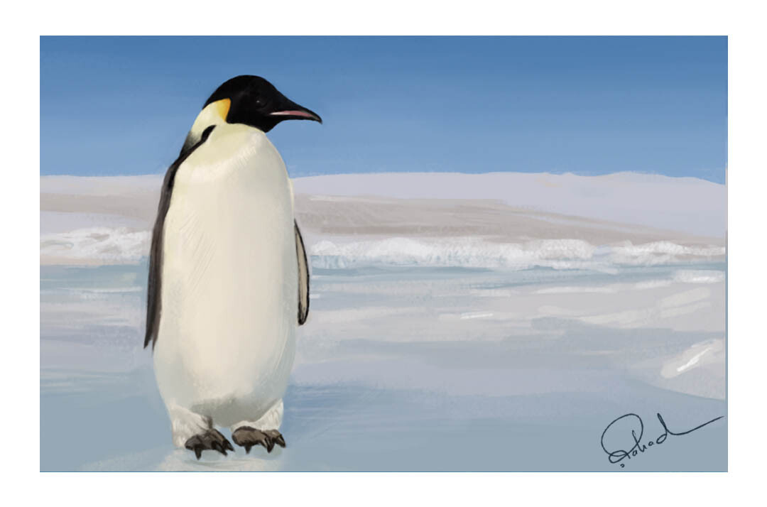 ArtStation - The penguin