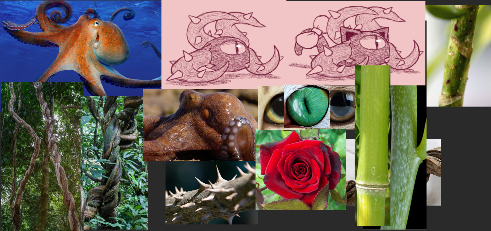 Zachary Stevens - New Rose Render