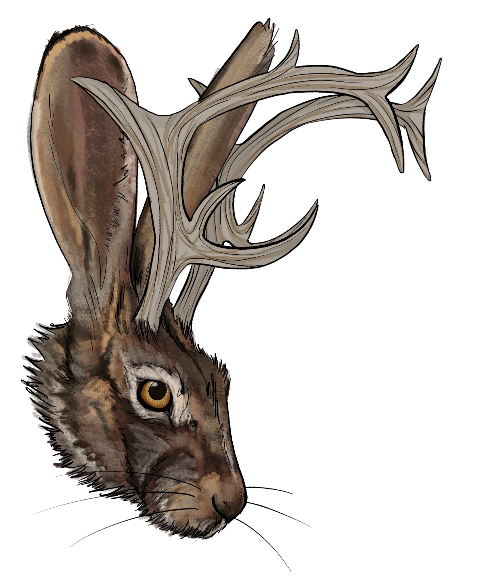ArtStation - Jackrabbit Jackalope