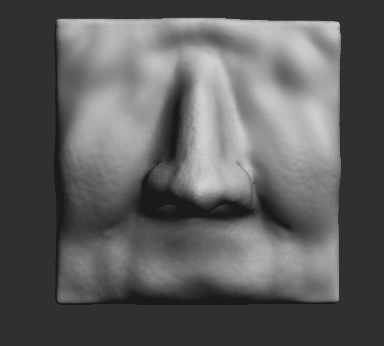 ArtStation - Nose Study Session