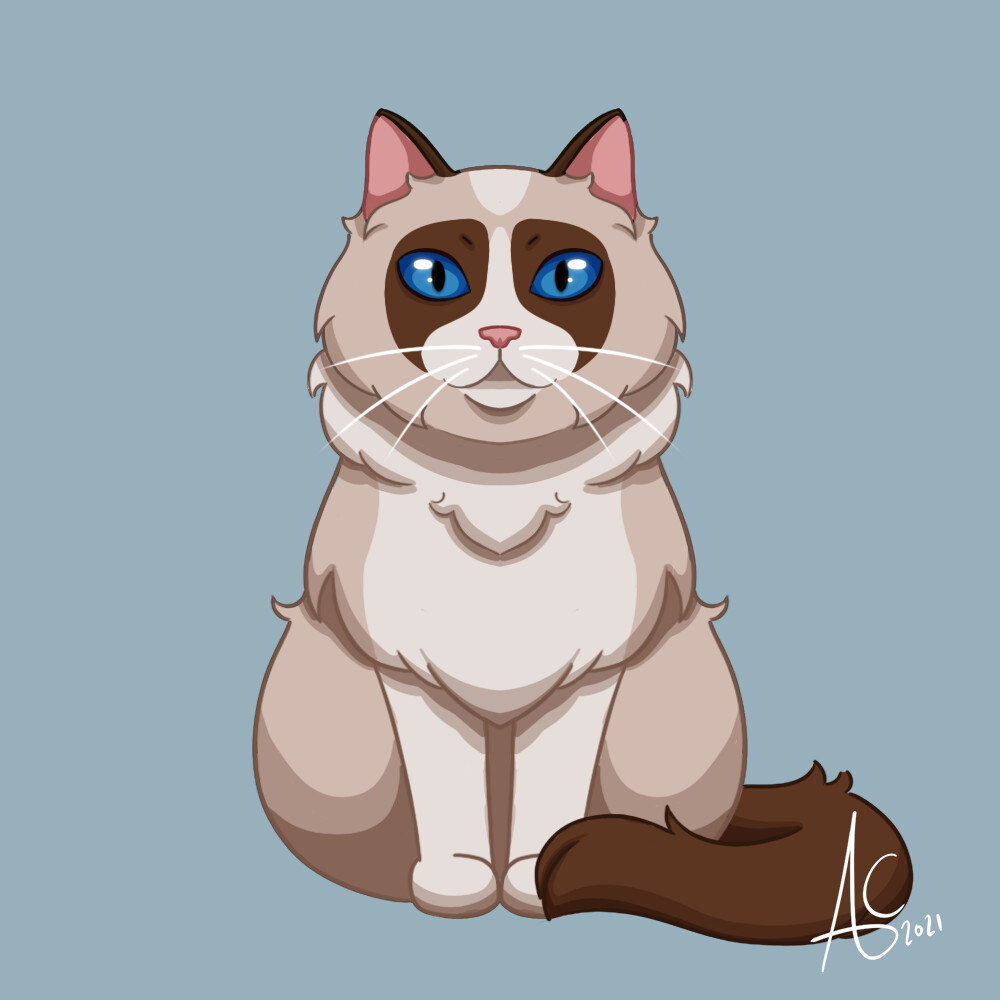 ArtStation - Ragdoll