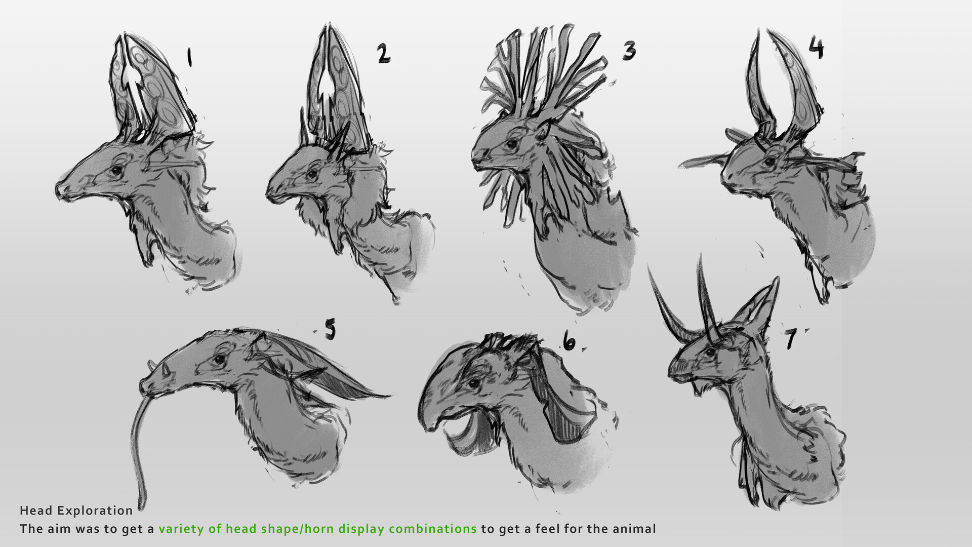 Herbivore Animals Drawing