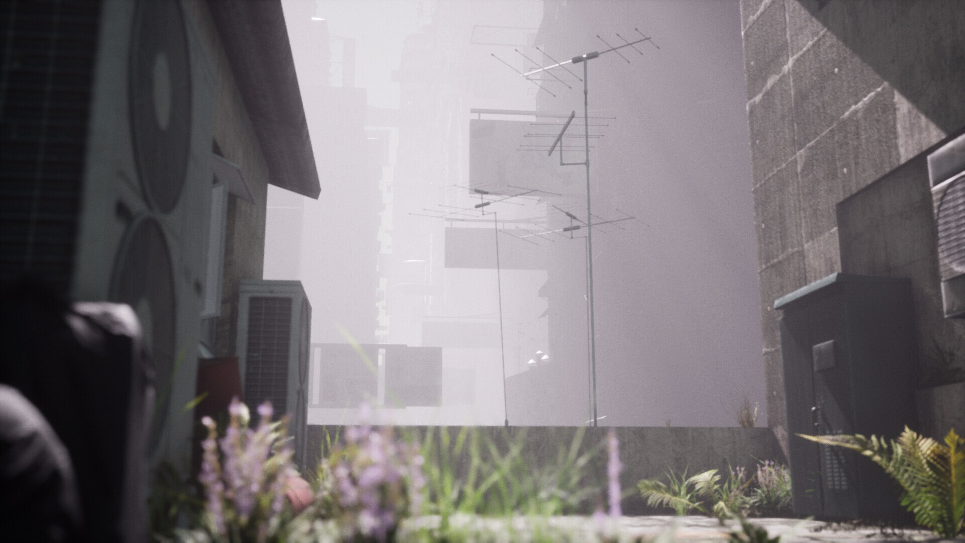 Alex Chiu - Old building rooftop in Hong Kong