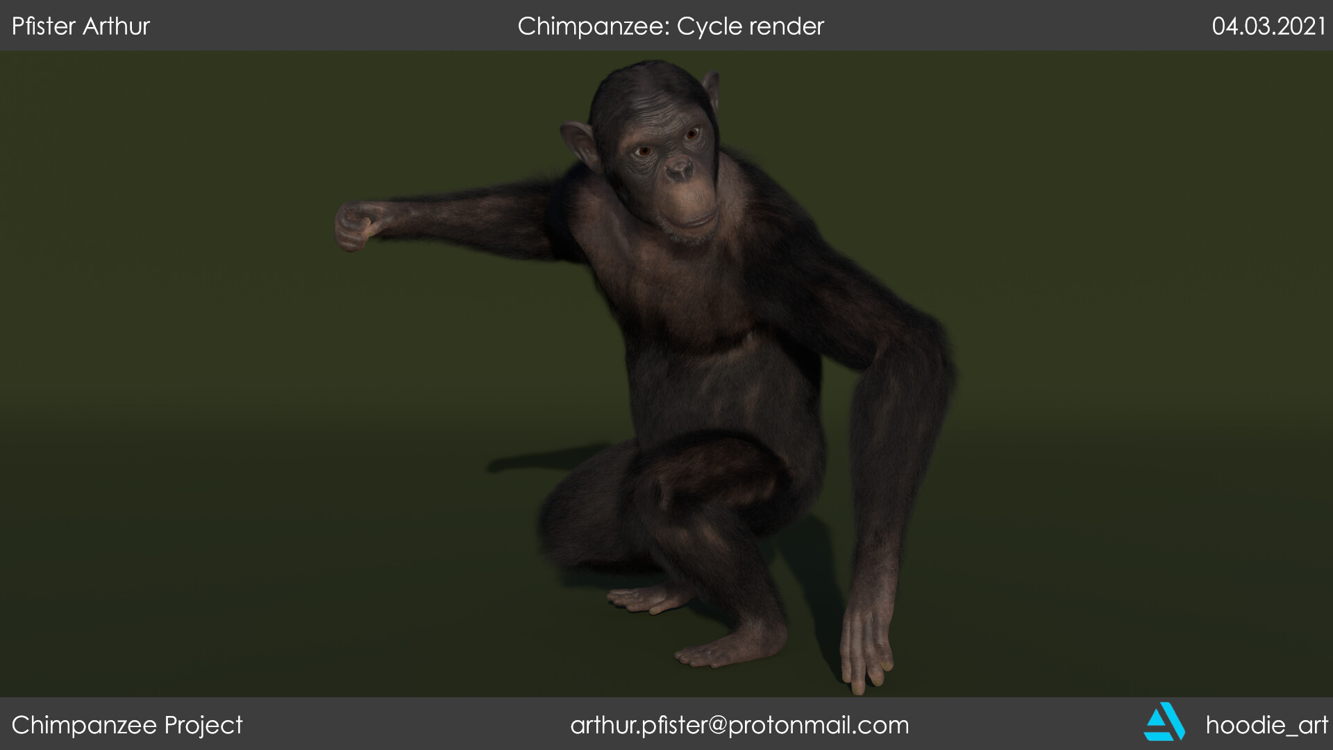 ArtStation - Chimpanzee Project