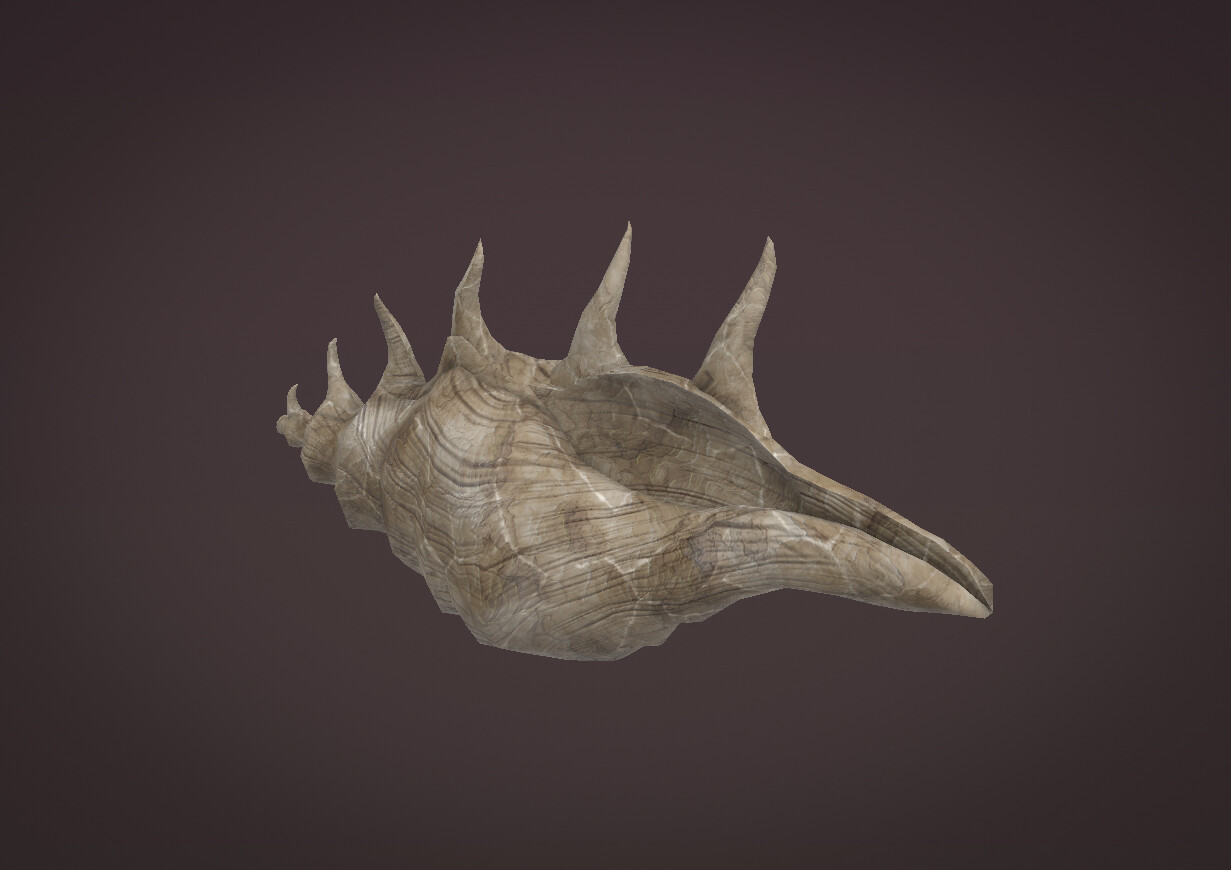 ArtStation - Low-poly stylized conch
