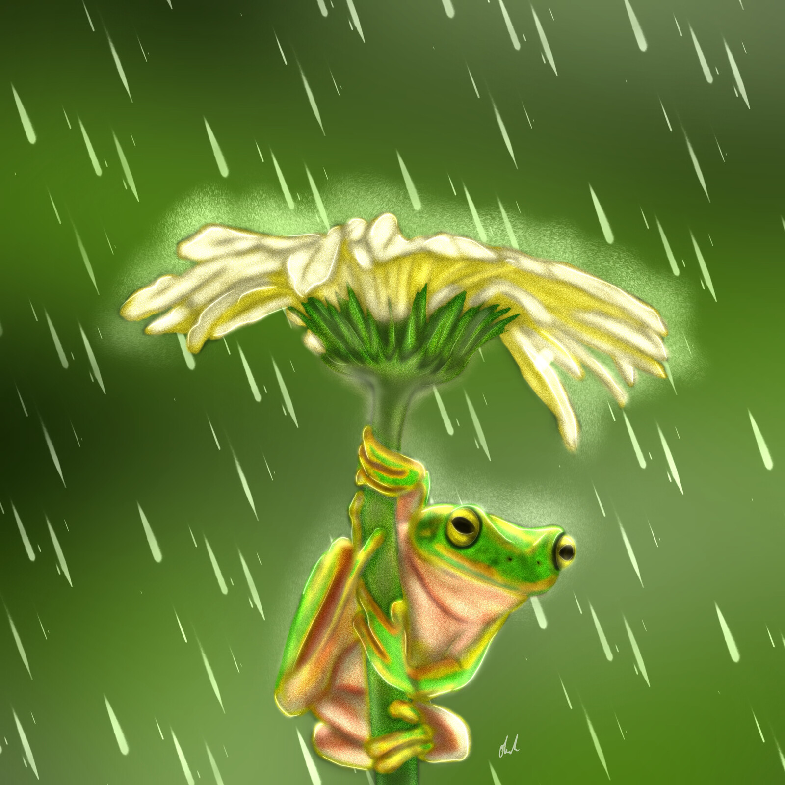 Otis (Nonchalant O’s) Lemeh - Frog weathering the storm