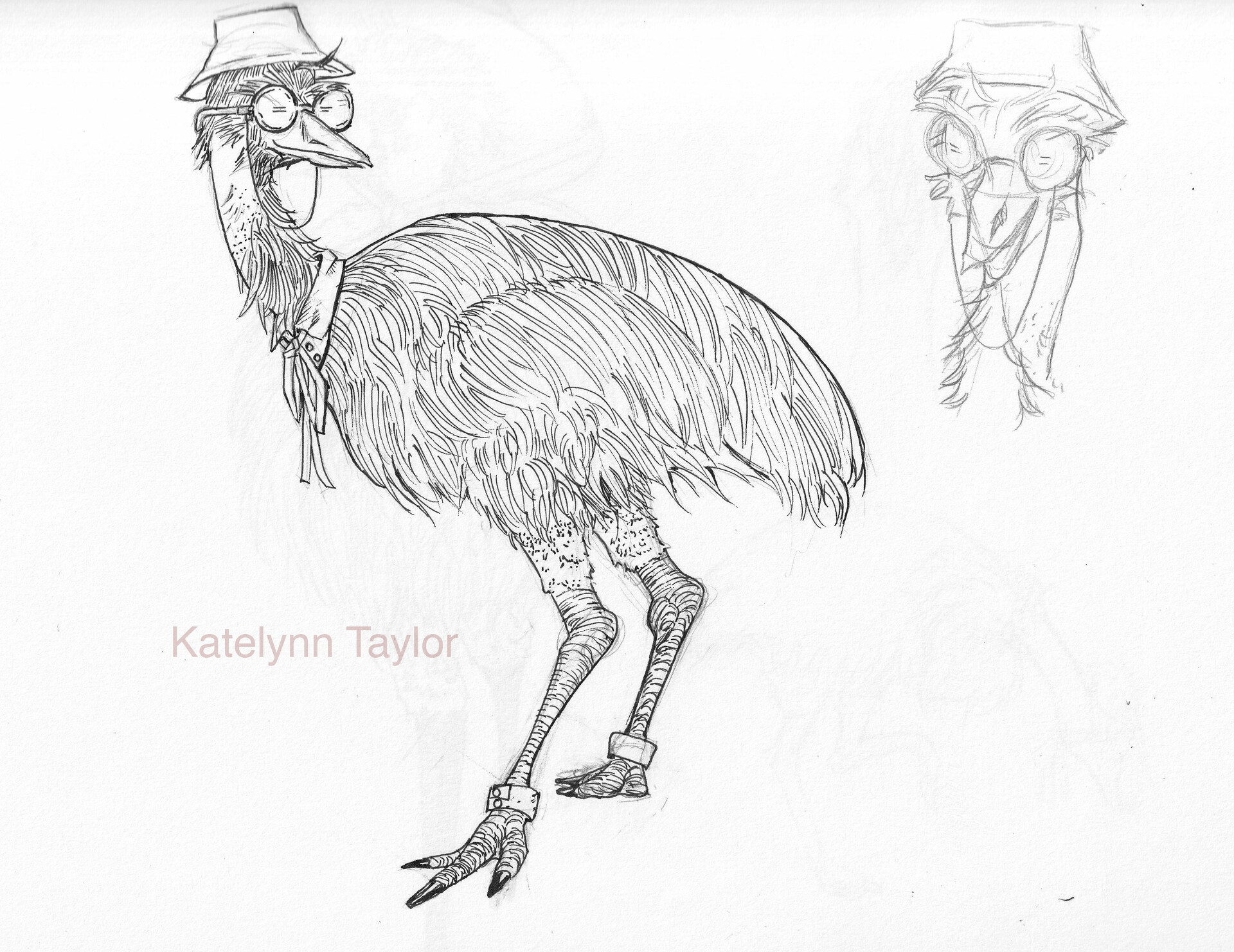 Katelynn Taylor - Cartoon Emu Concepts