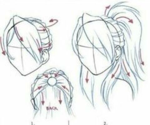 how to draw hair tied back