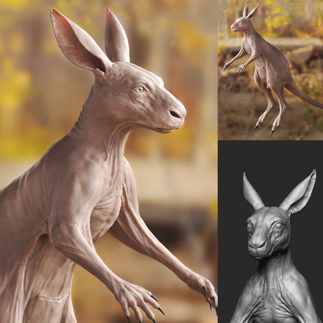 ArtStation - Kangaroo
