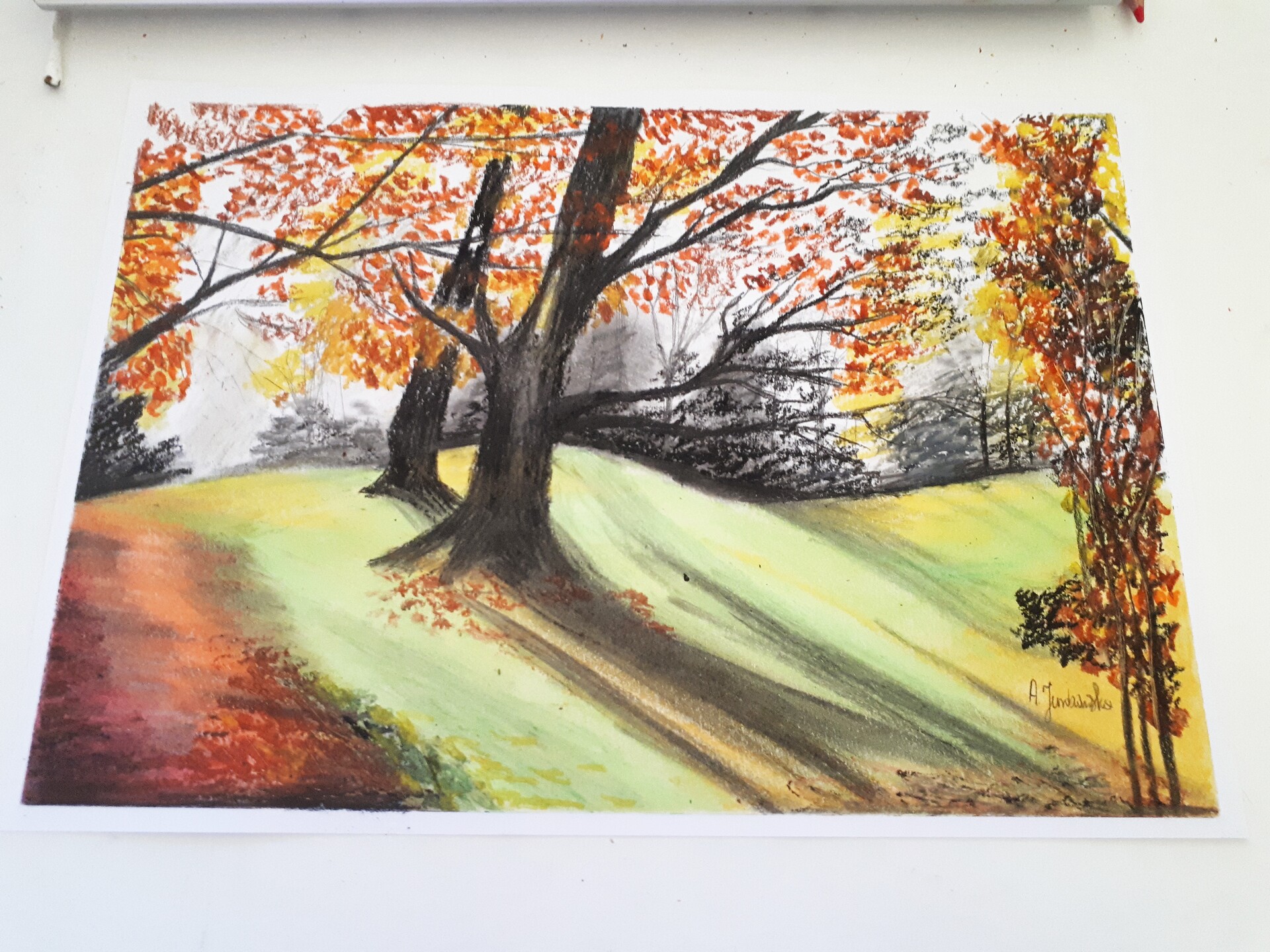 ArtStation - Beautiful forest