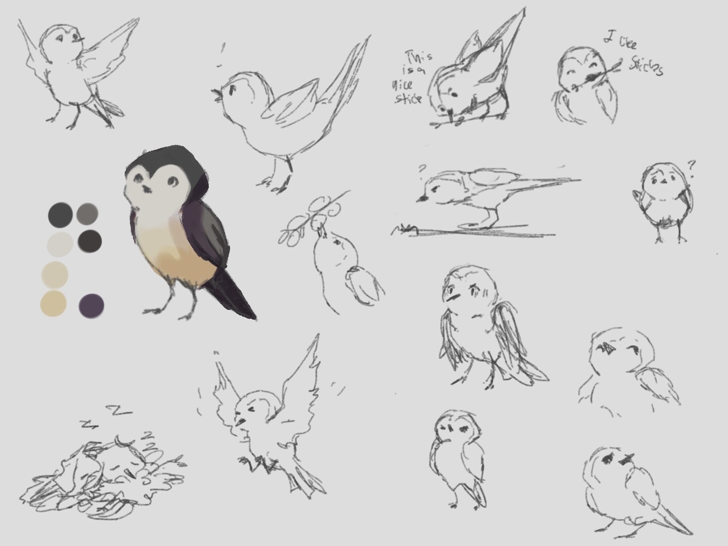 how to draw bird character