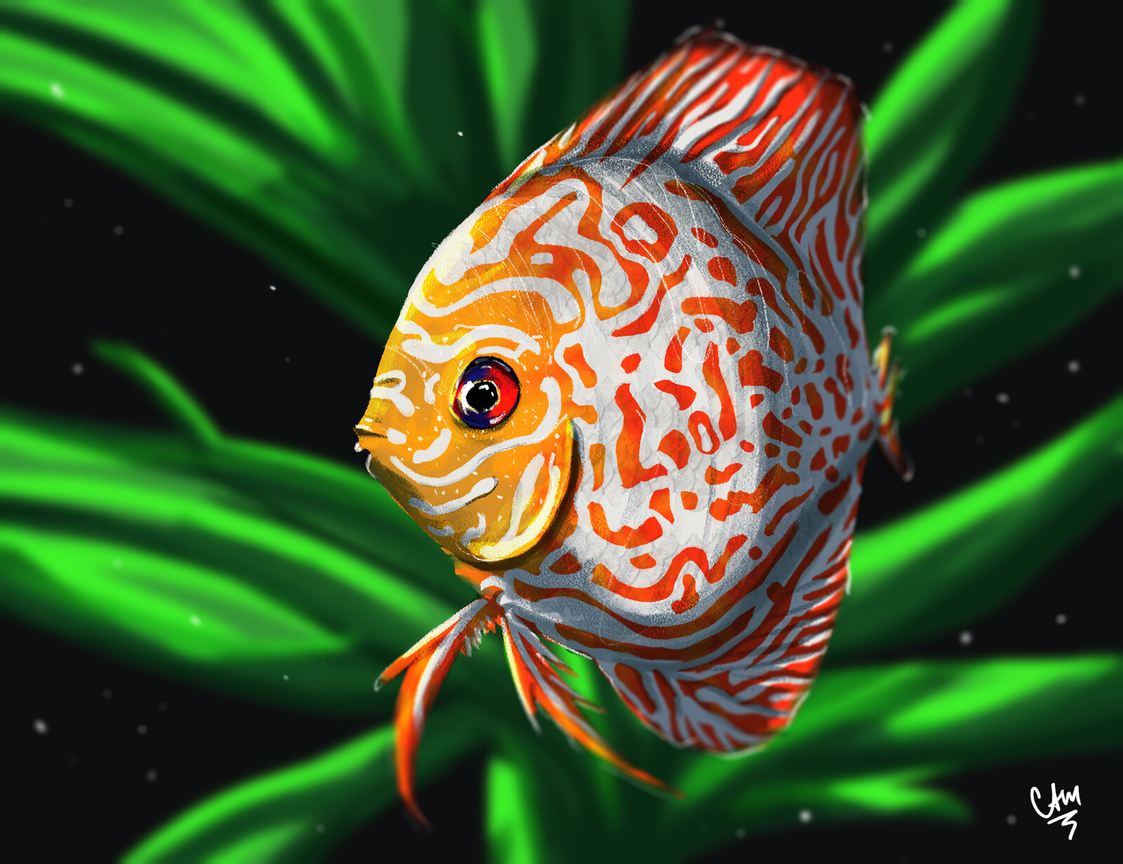 Chris Mellen - Portfolio