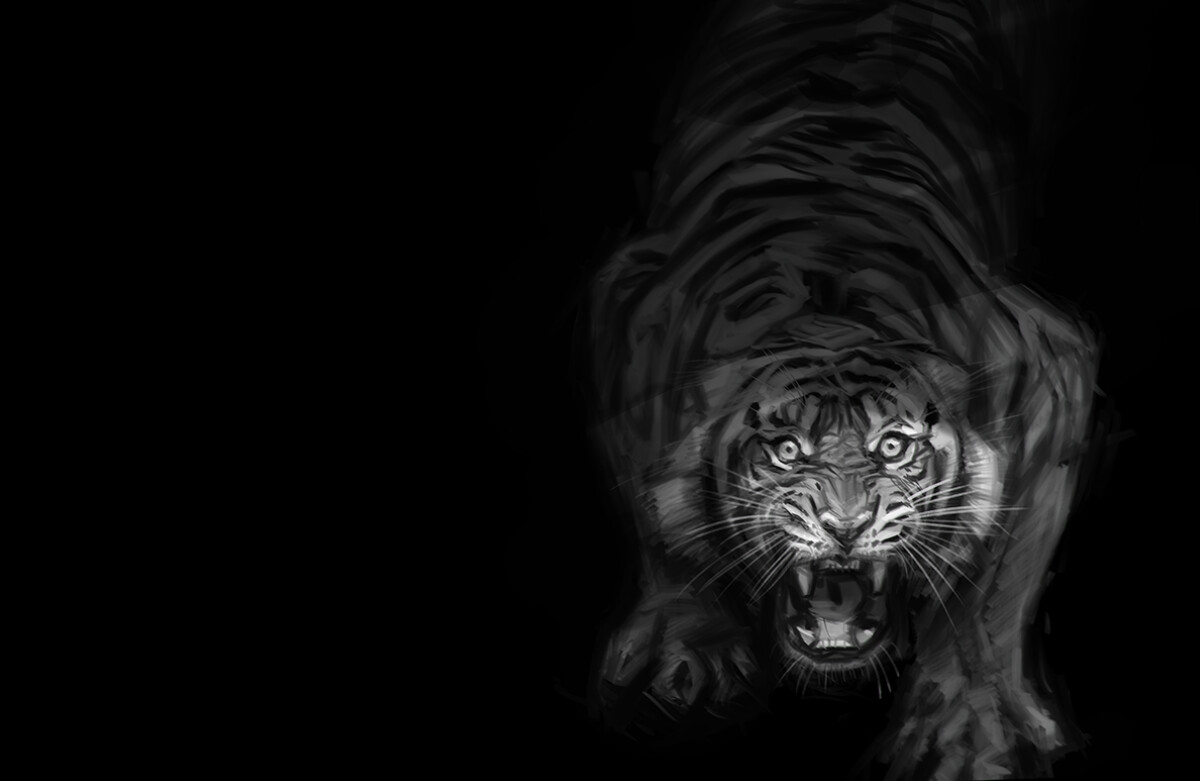 ArtStation - Tiger (study)