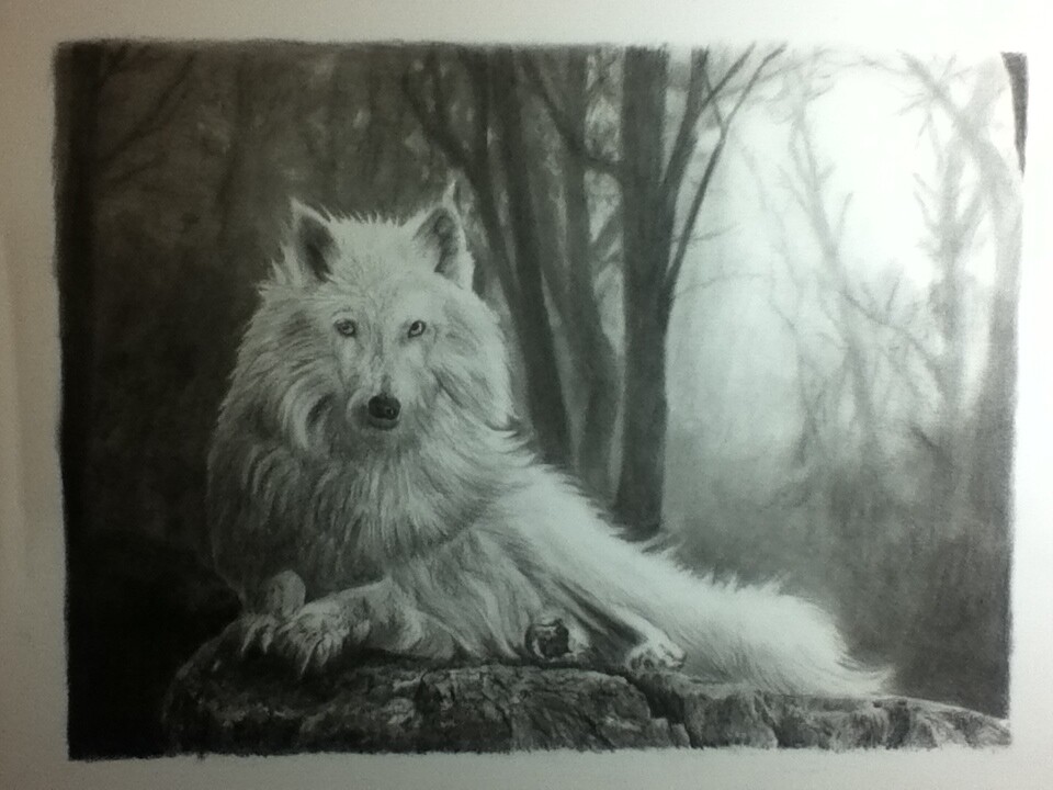 ArtStation - Charcoal of a wolf