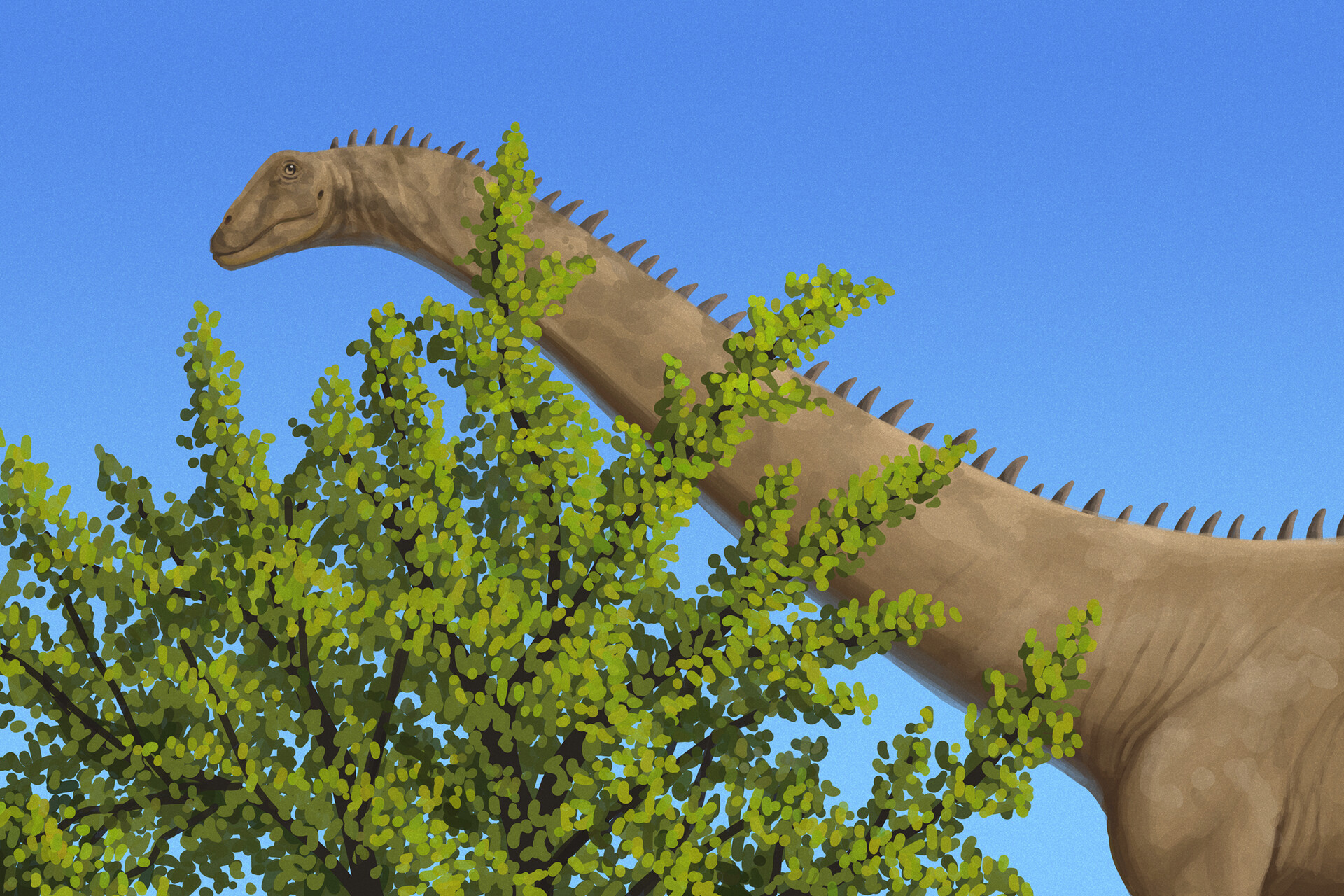 ArtStation - Galeamopus