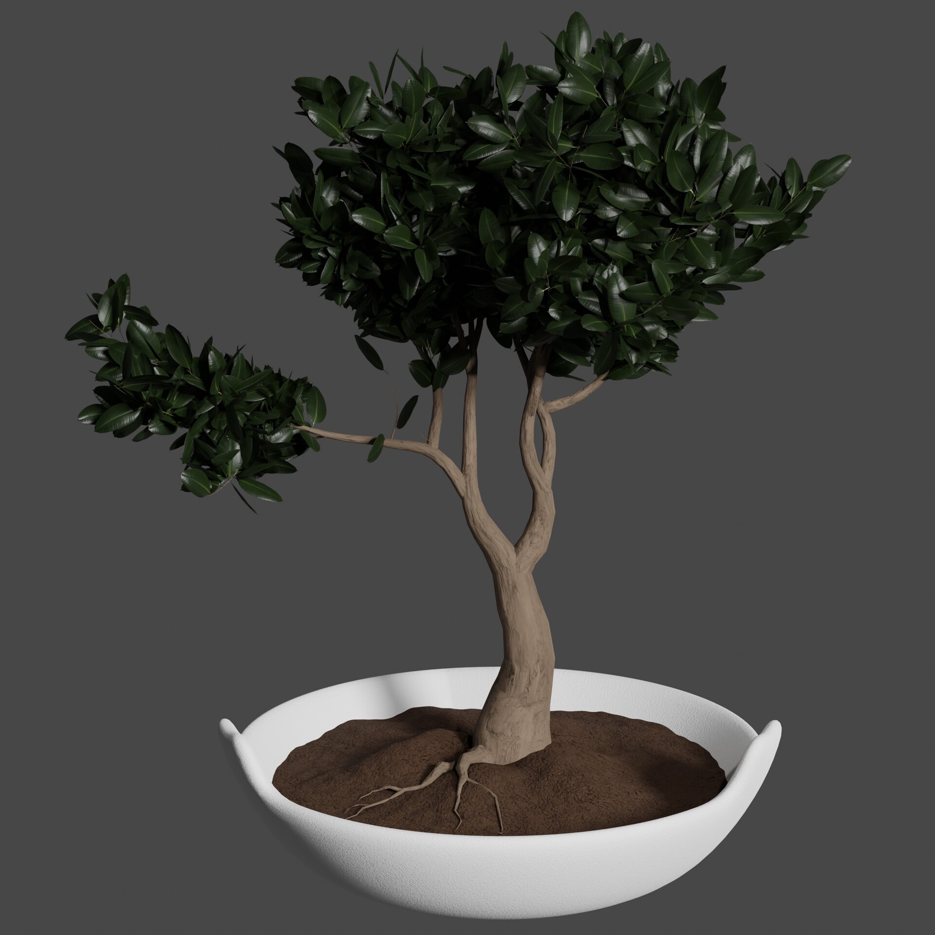 ArtStation - Ficus Bonsai Tree