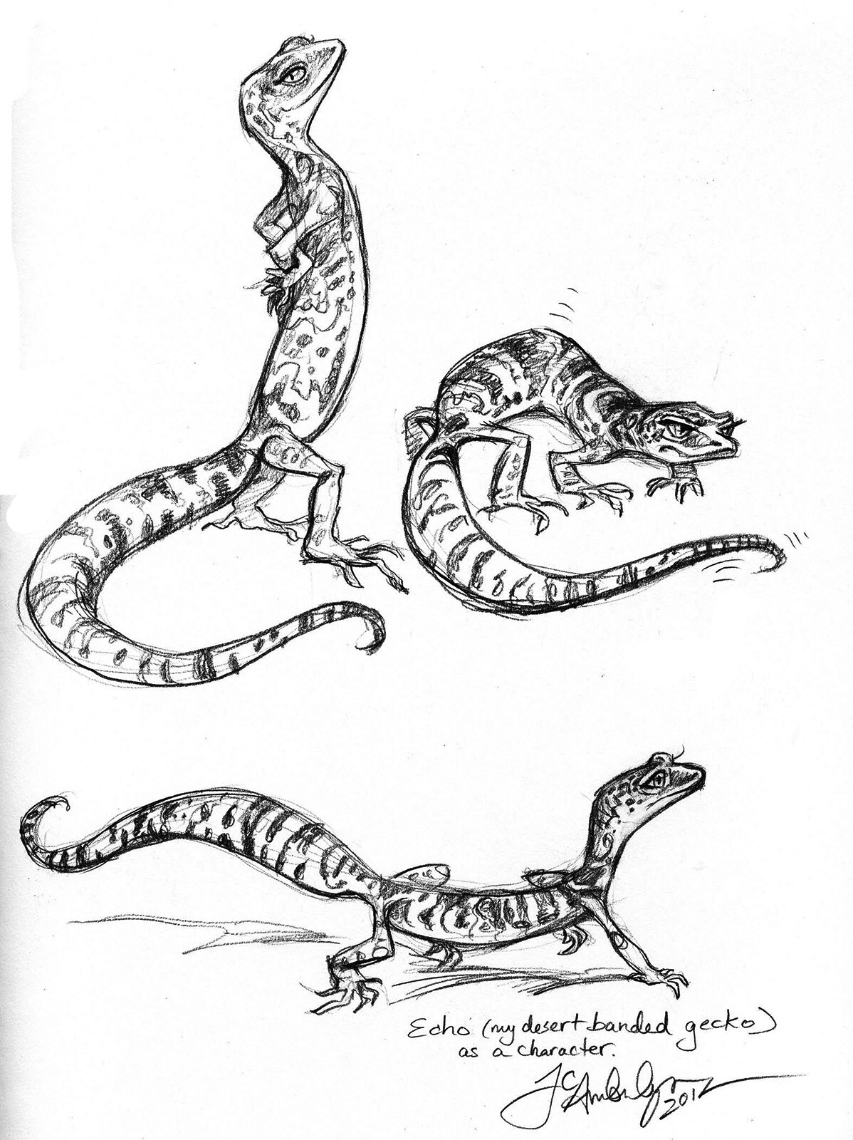 ArtStation - Echo the Gecko