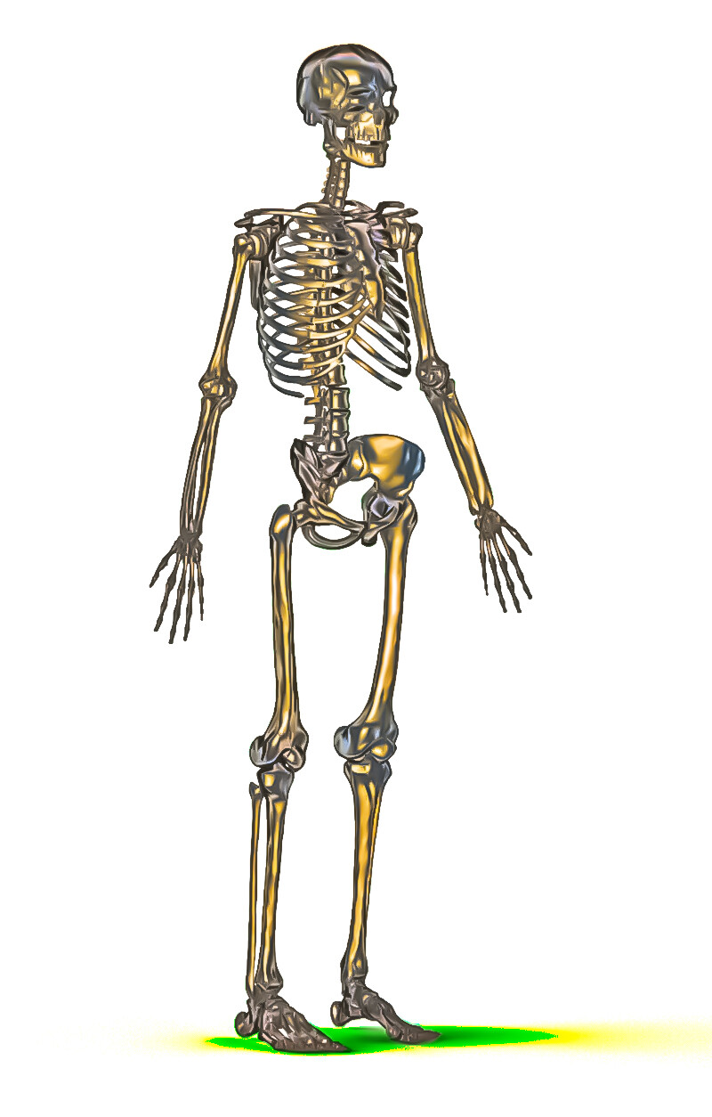 ArtStation - skeleton