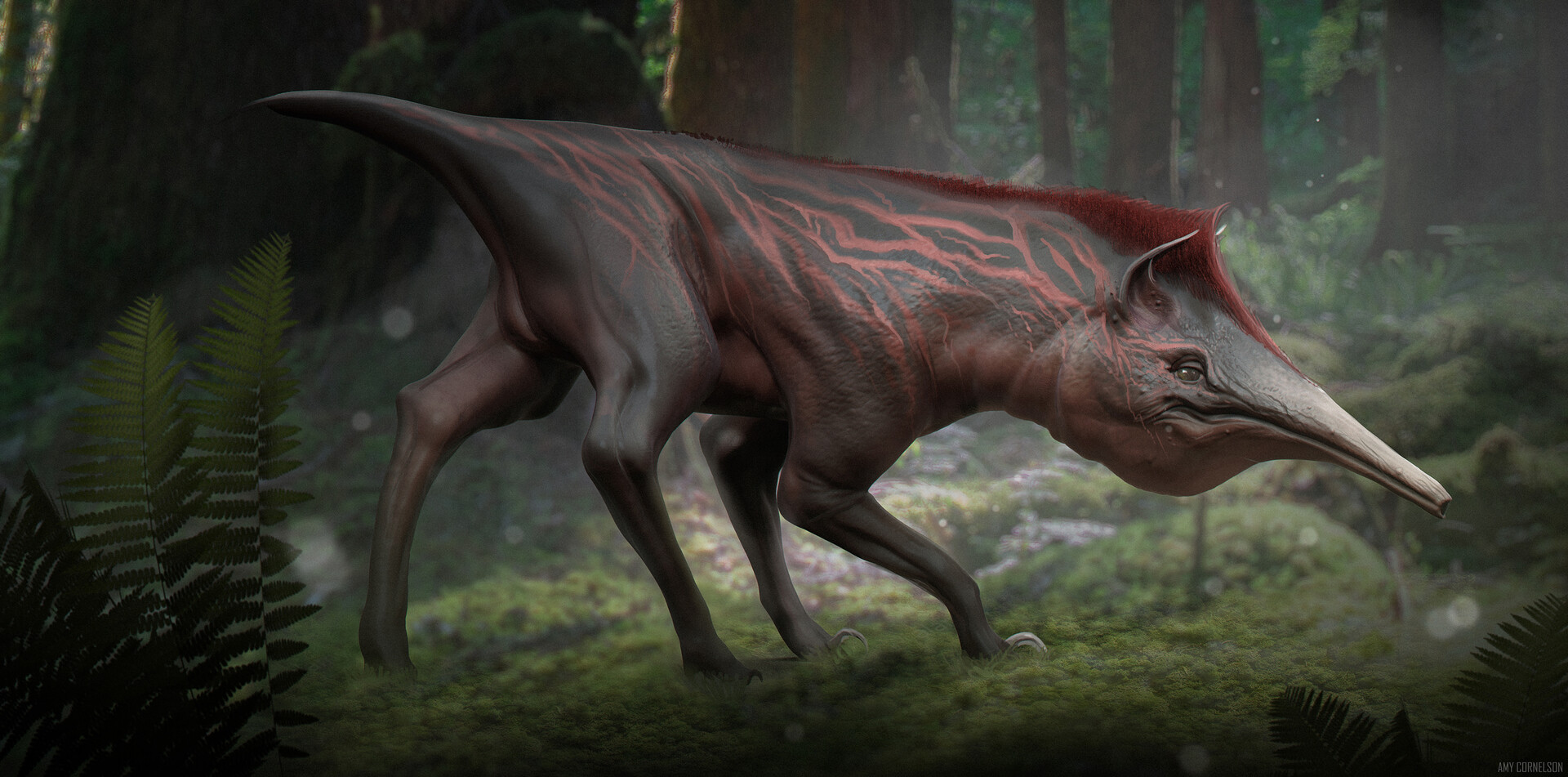 Amy Cornelson - Mr Snoots