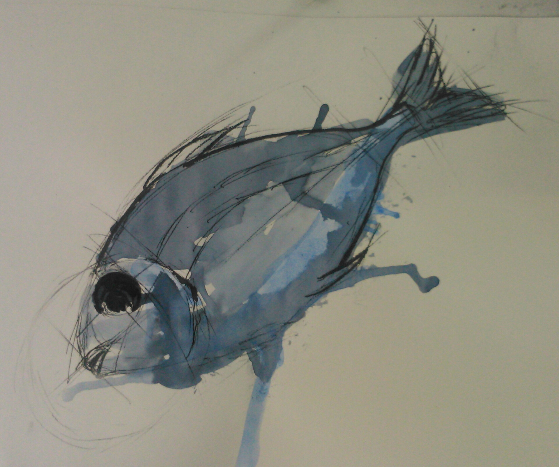 ArtStation - Dead fish