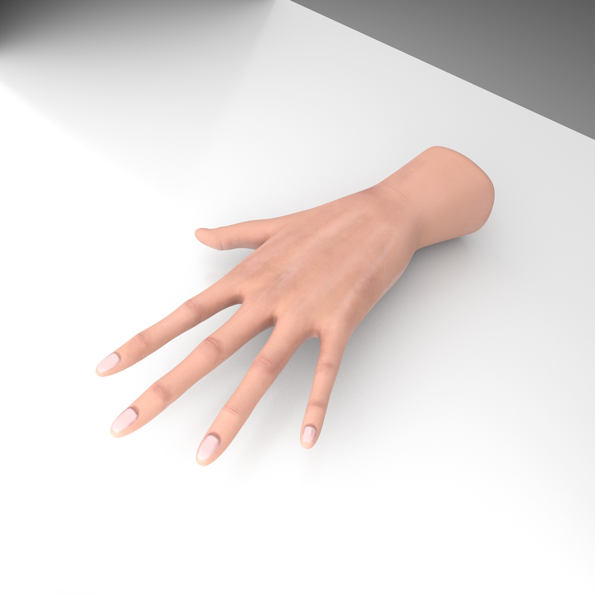 ArtStation - 3D Modeling Practice3_Hand