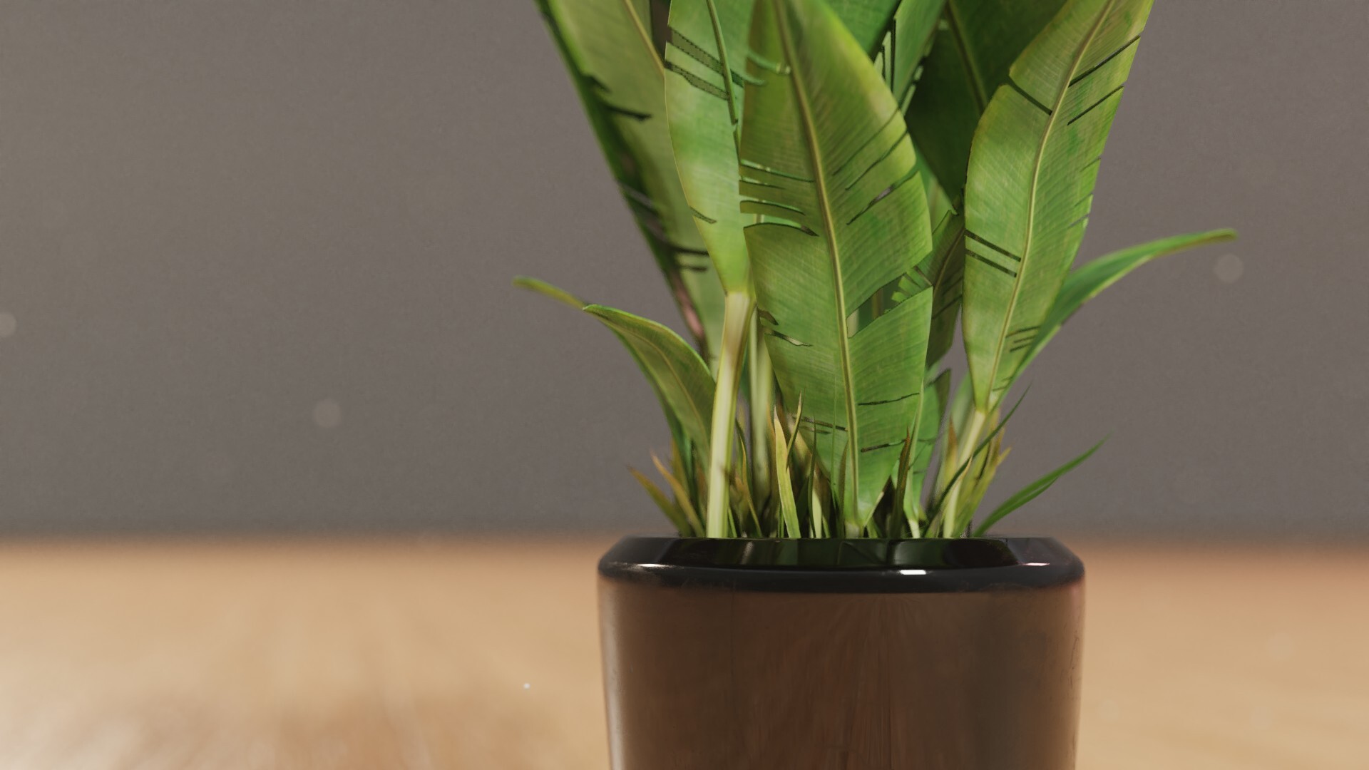 ArtStation - Birds of Paradise Pot-plant