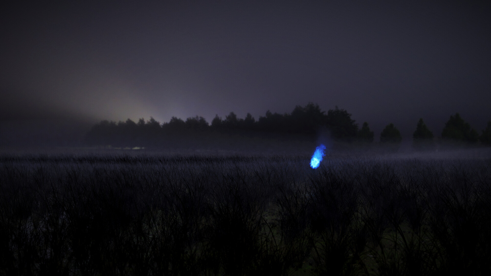 will o the wisp photography